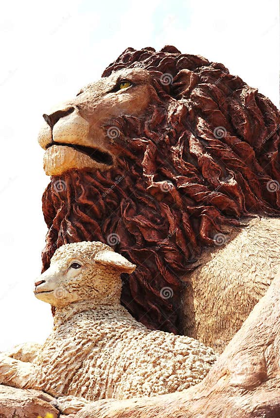 Lion and the lamb. stock photo. Image of strength, time - 4311398