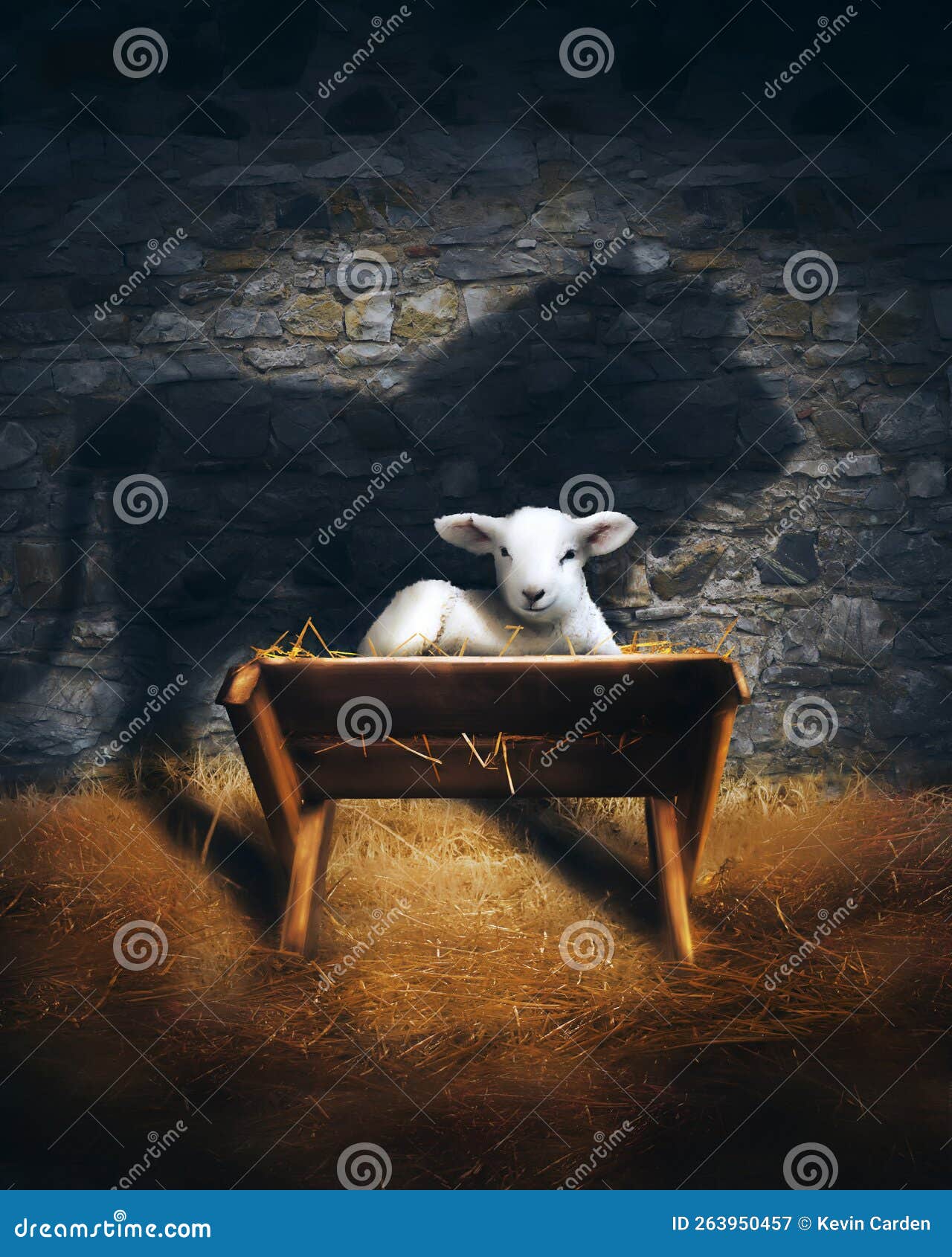 Lamb Stock Photography | CartoonDealer.com #69078920