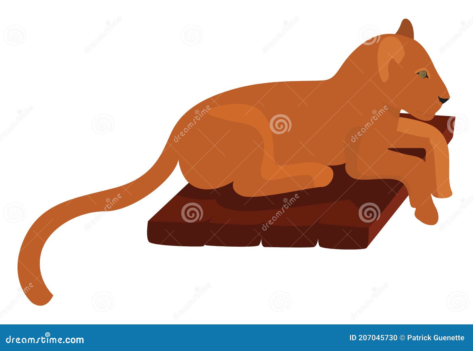 Lion Laying Down On Dark Background. Portrait Of Lion. Complete Whole ...