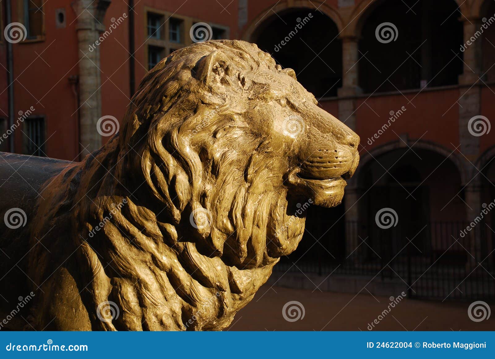 The lion of Lyon, France stock photo. Image of symbol - 24622004