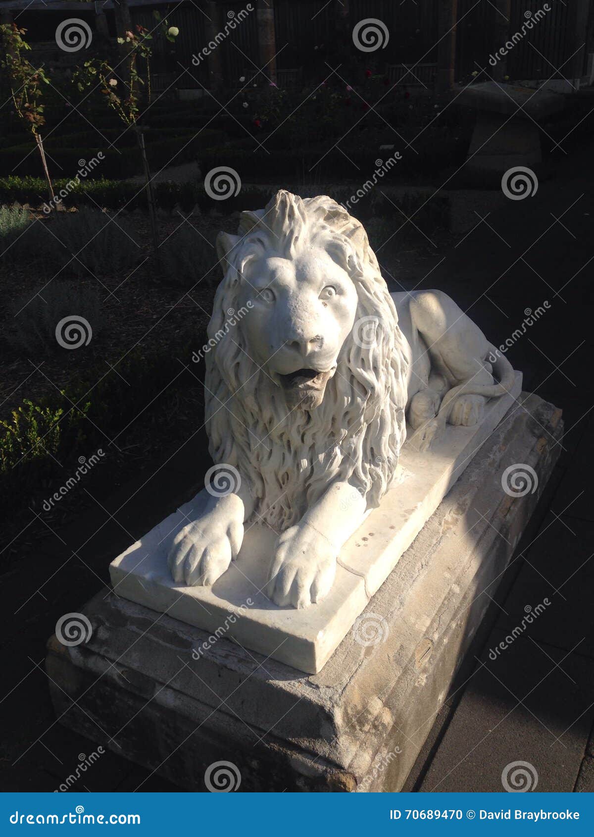 Lion Marble Statue stock photo. Image of statue, lion - 70689470