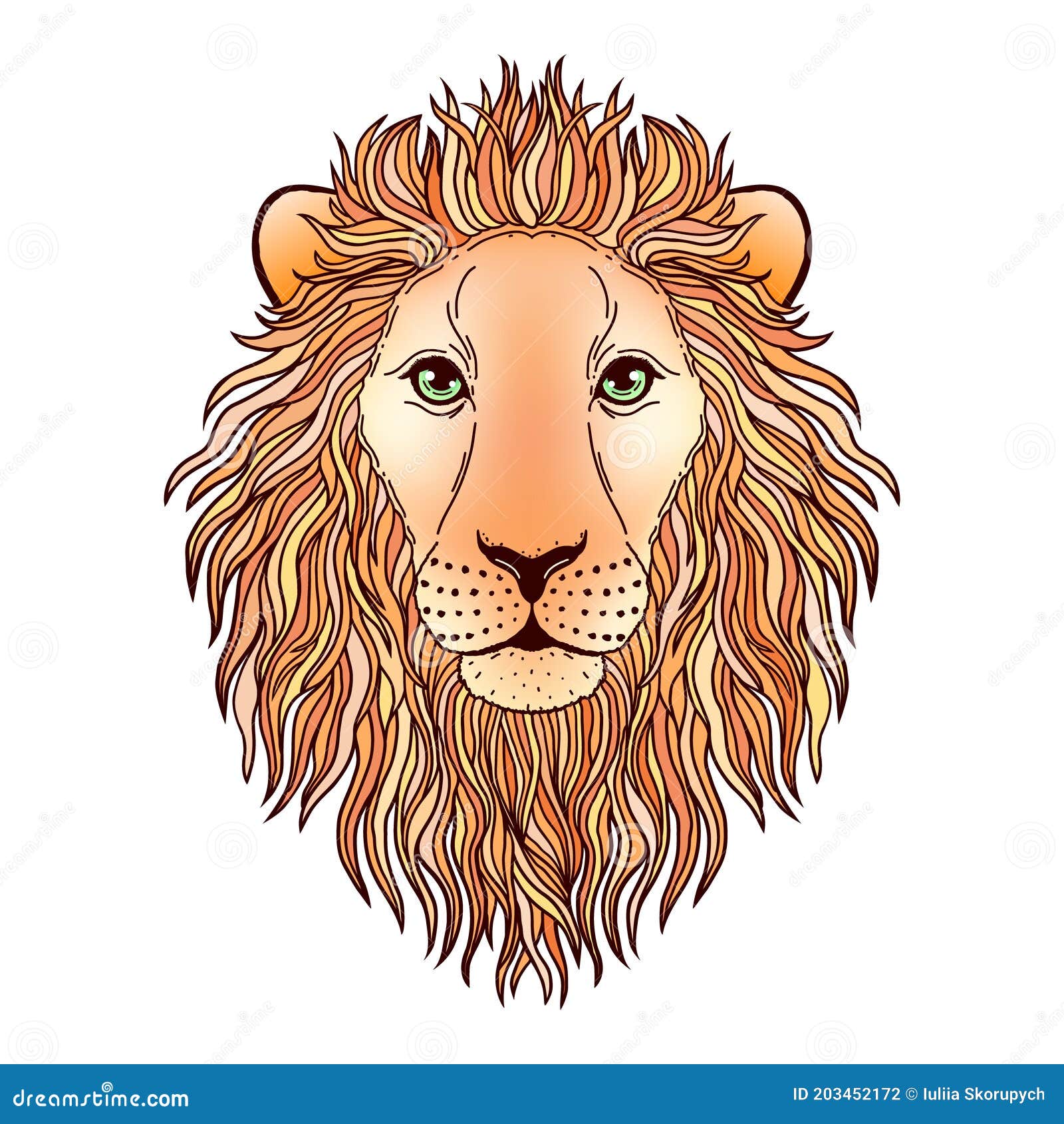 Lion muzzle on white stock vector. Illustration of graphic - 203452172