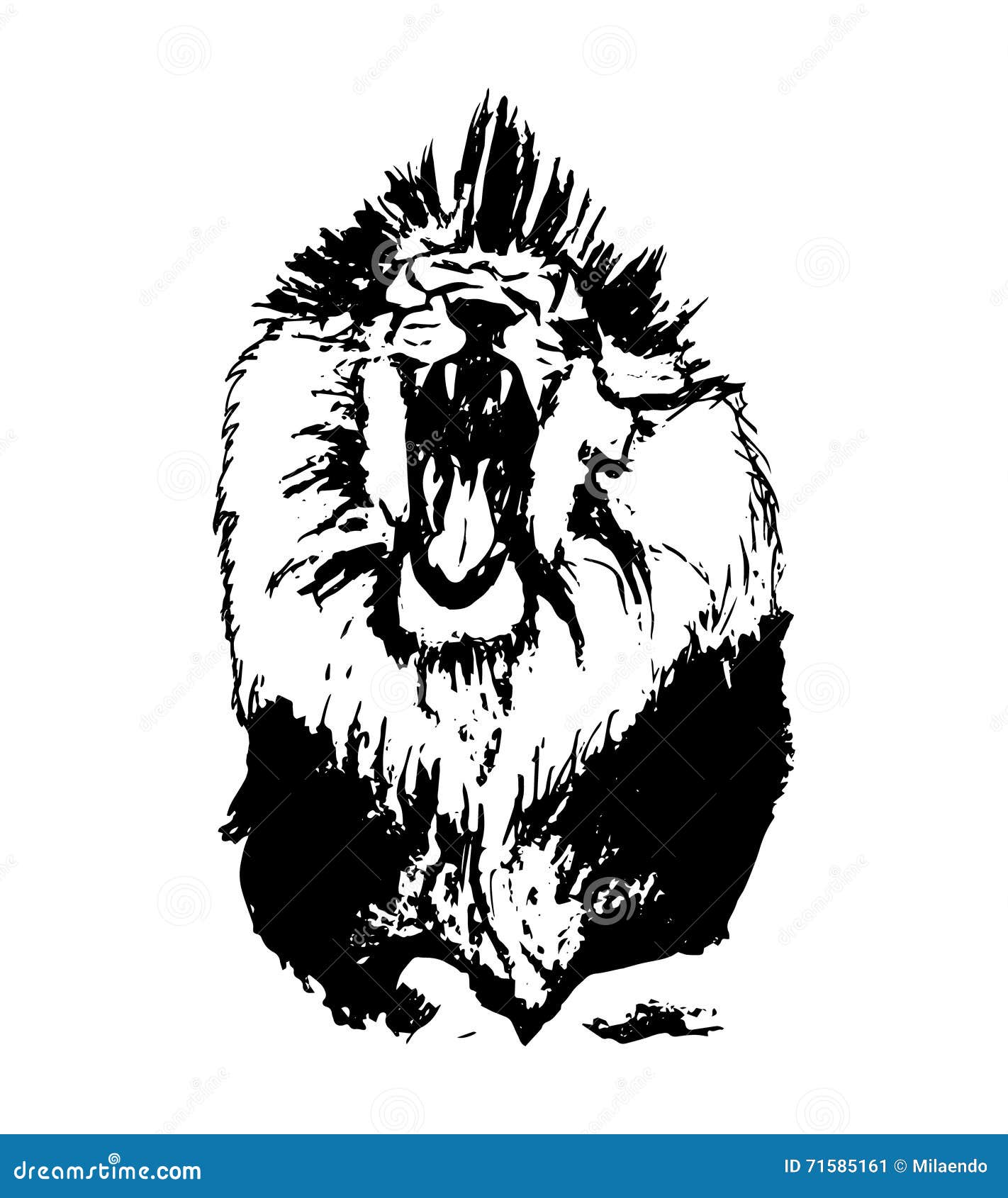 Lion with open mouth stock vector. Illustration of animal - 71585161