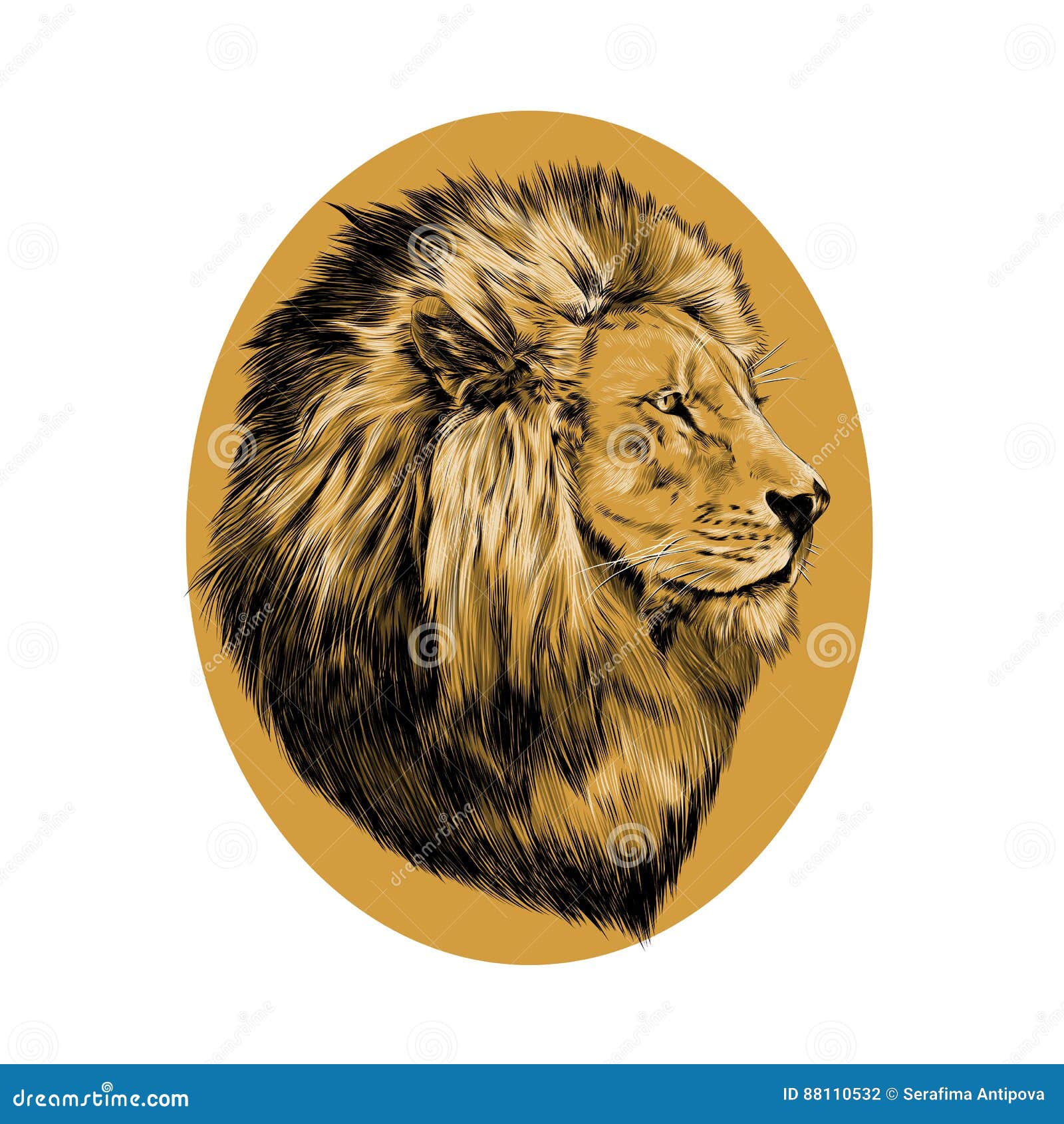 Lion Proud, Face In Profile, Looking Into The Distance, Sketch, Vector ...