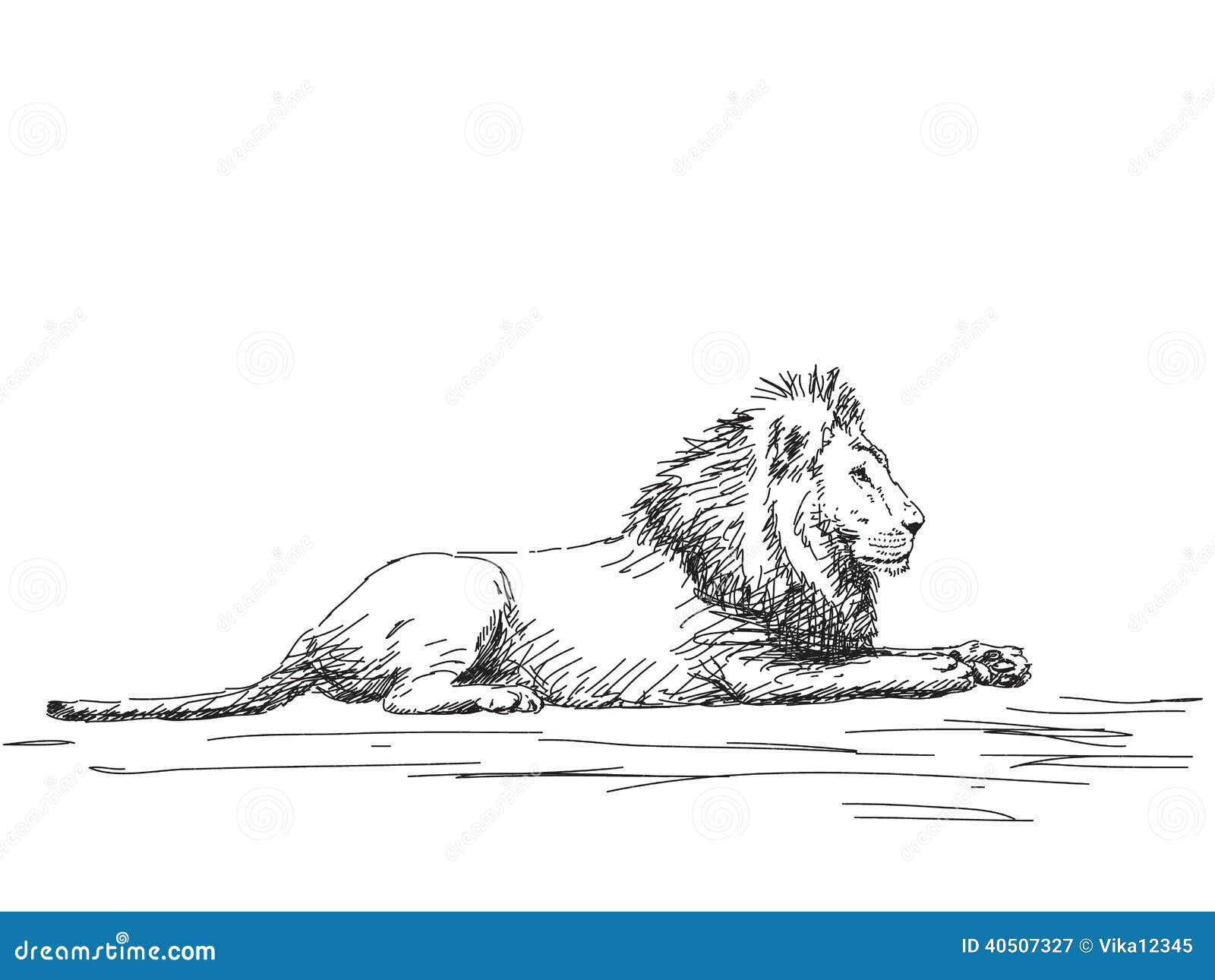 Lion resting stock vector. Illustration of wild, sketch - 40507327
