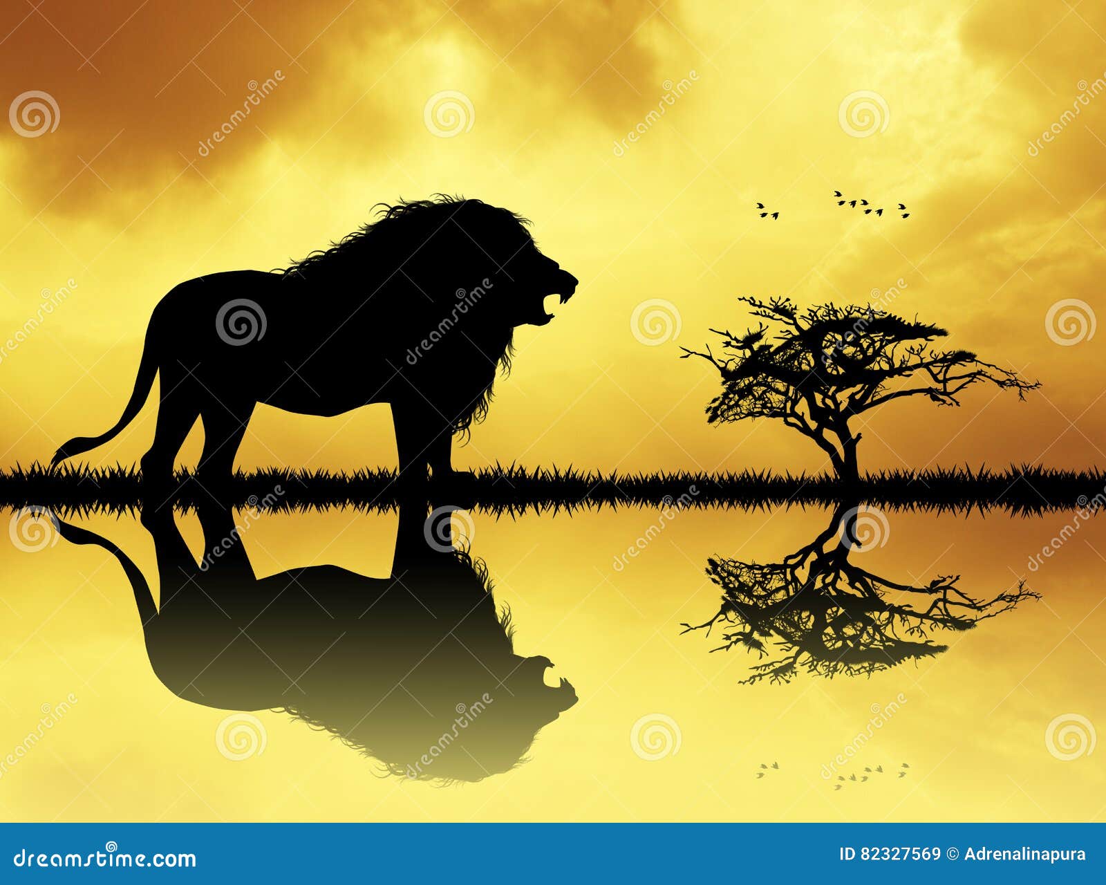 Lion on river at sunset stock illustration. Illustration of sunset ...