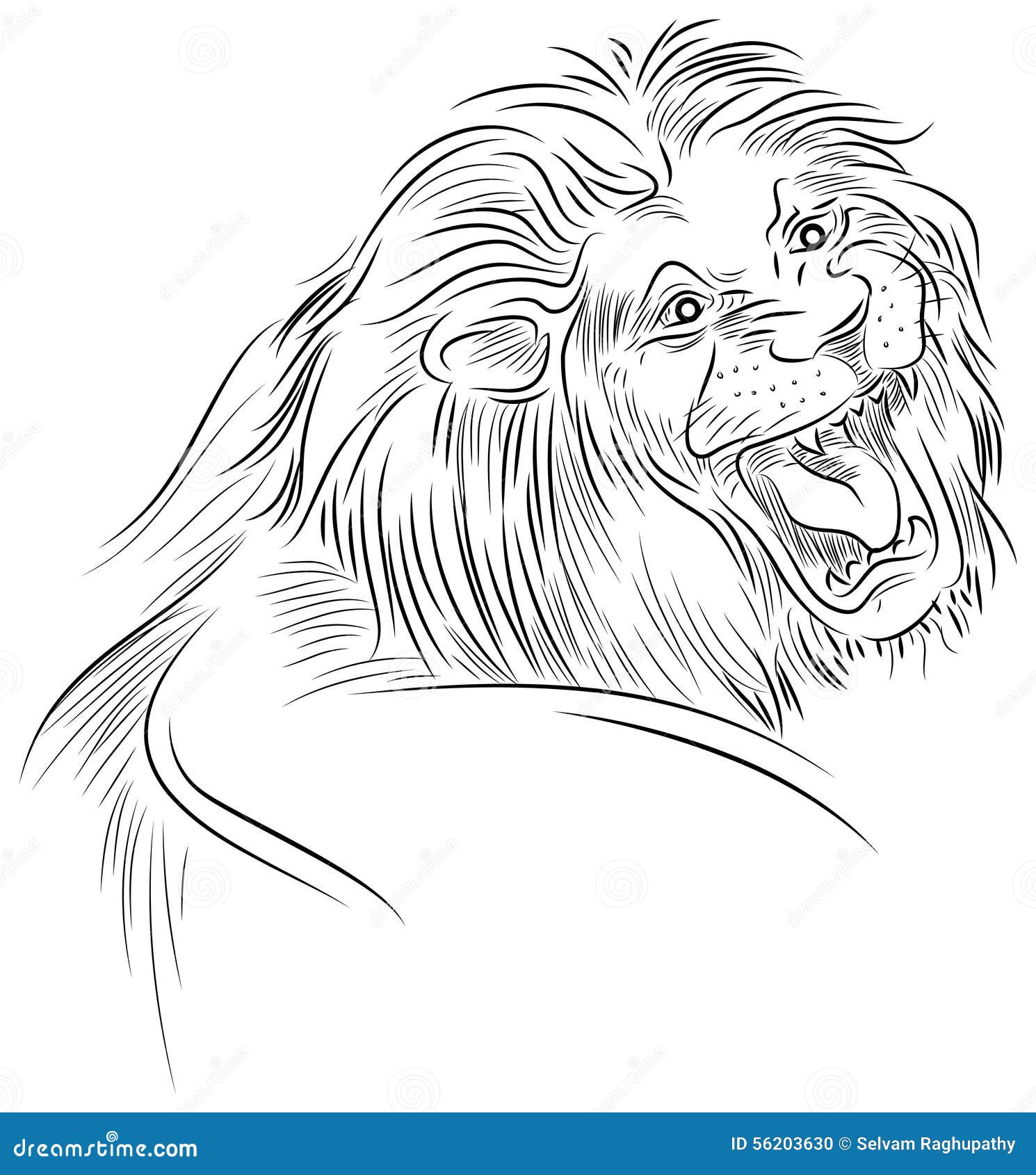 A lion roaring stock vector. Illustration of furious - 56203630