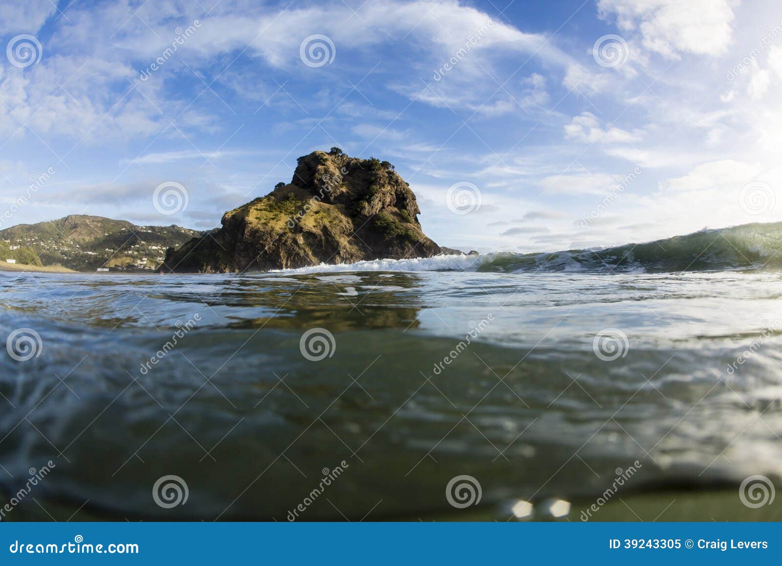 Lion Rock, Piha, Auckland, NZ Image stock - Image du plage, bain: 39243305
