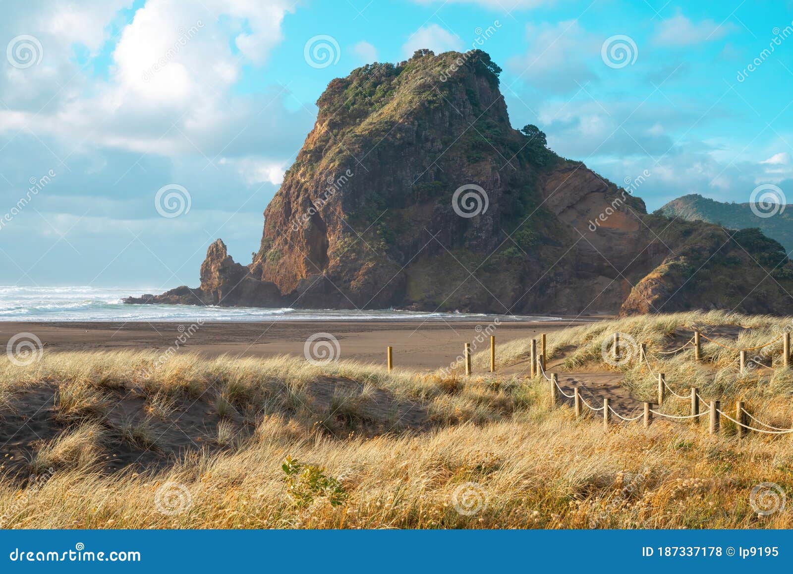 Lion Rock and Piha beach stock photo. Image of shore - 187337178