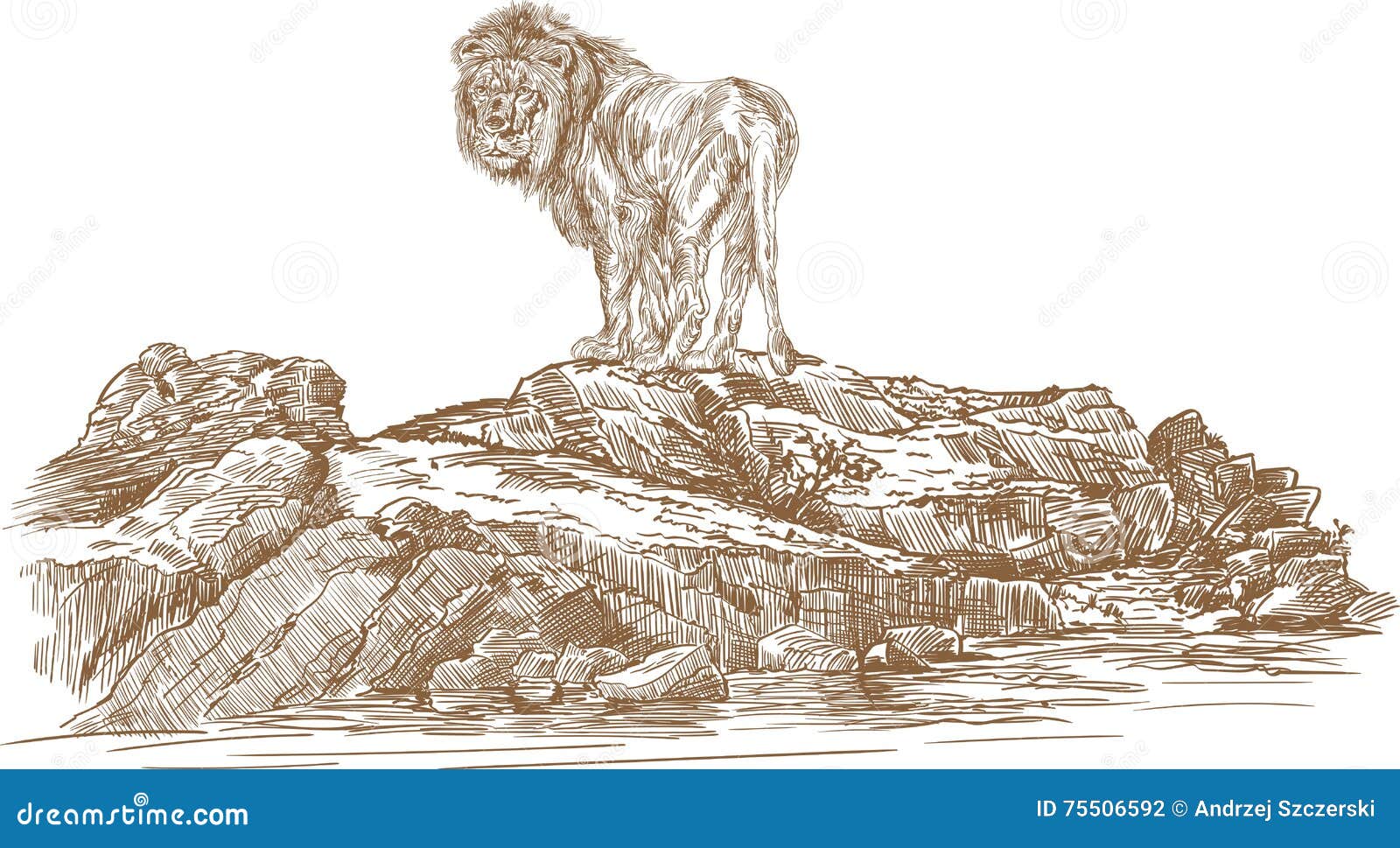 Lion and rocks stock vector. Illustration of vector, isolated - 75506592