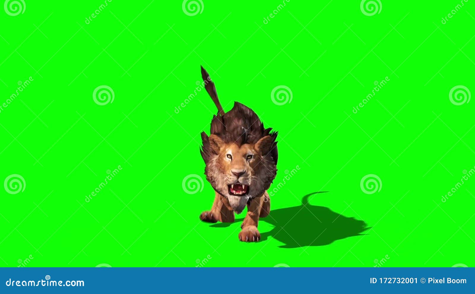 Lion Runs Front Loop 3D Rendering Animation Stock Video - Video of ...