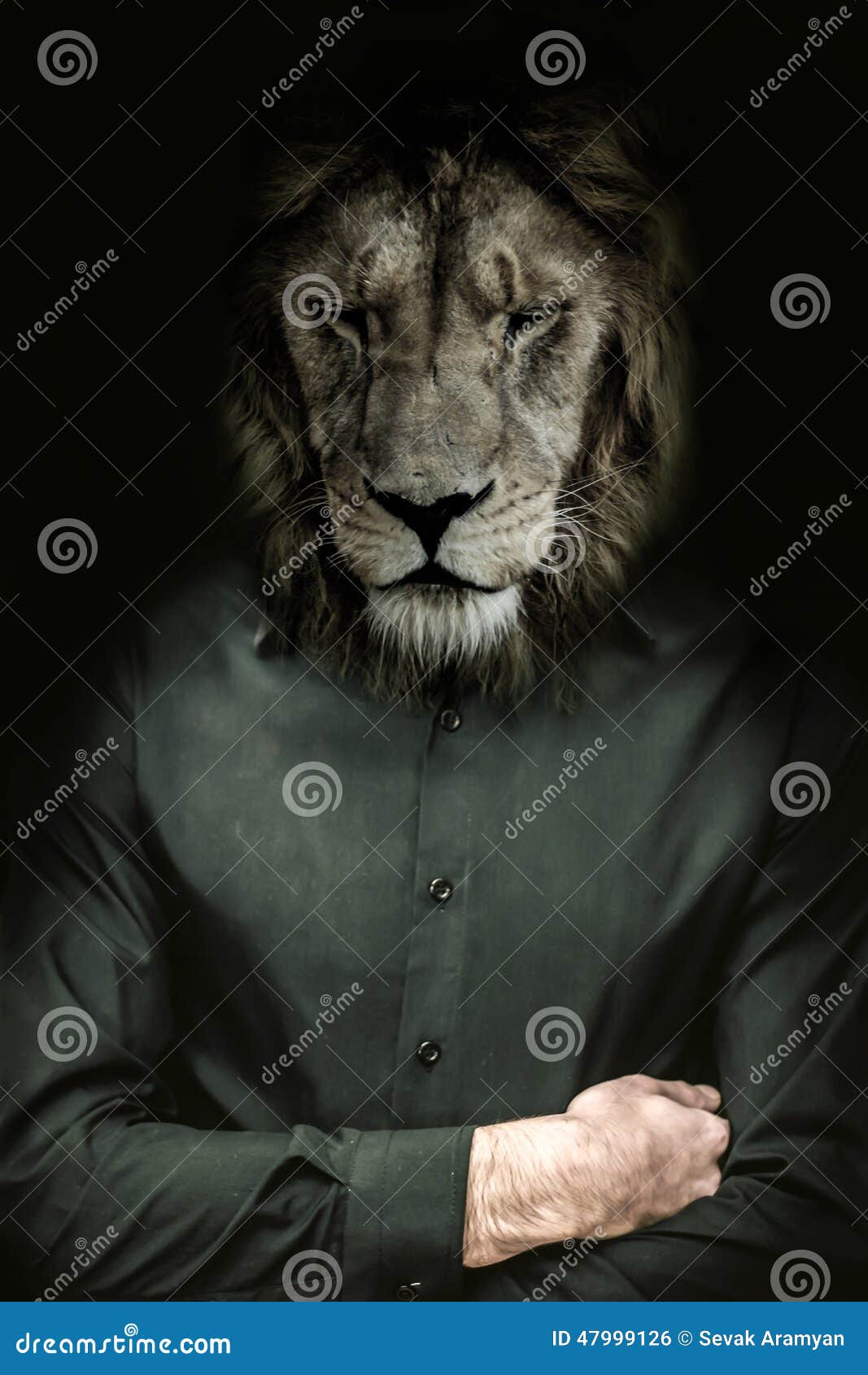 The lion s head man stock photo. Image of human, mammal - 47999126