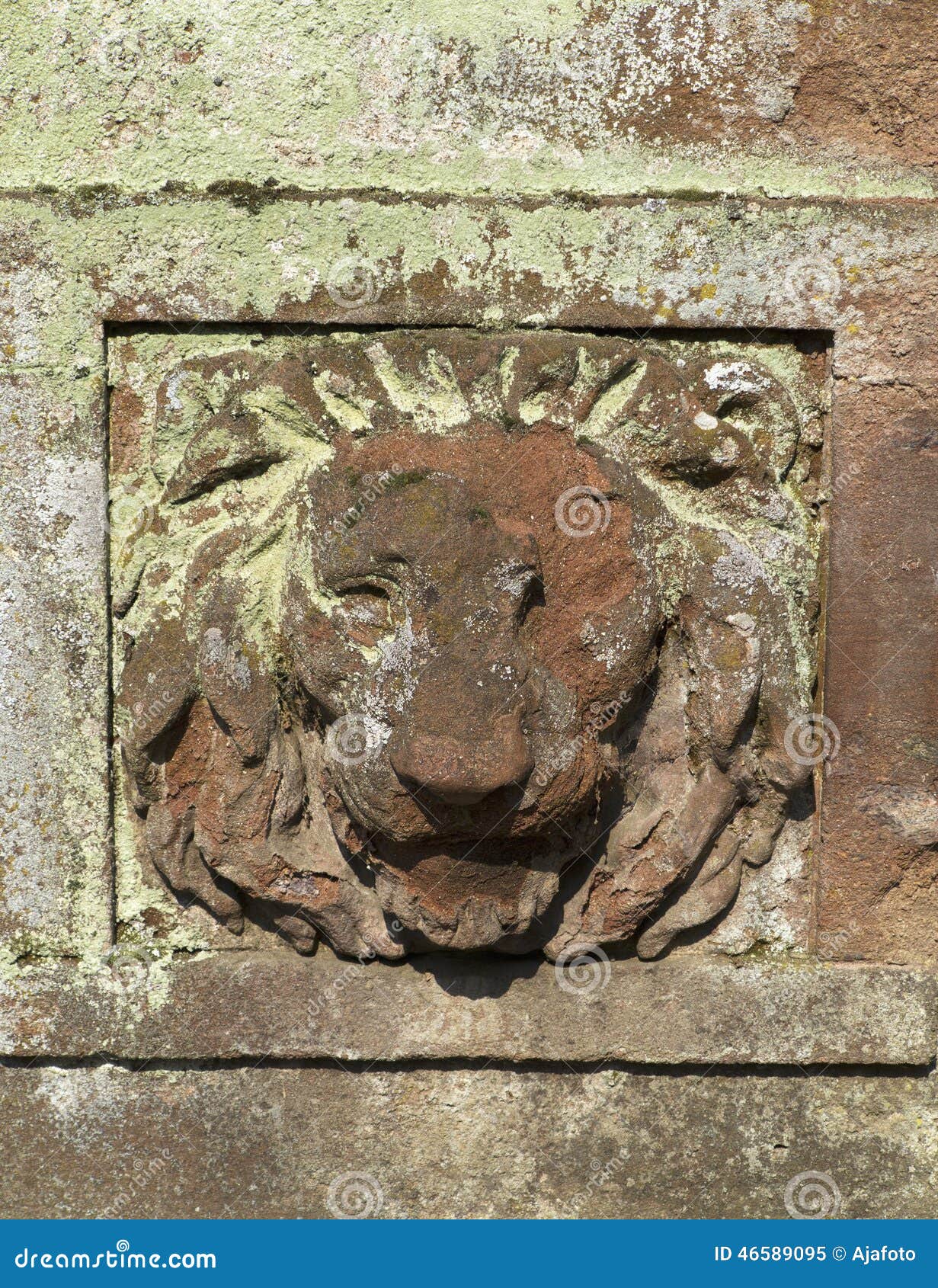 Lion s head relief stock image. Image of carved, stone - 46589095
