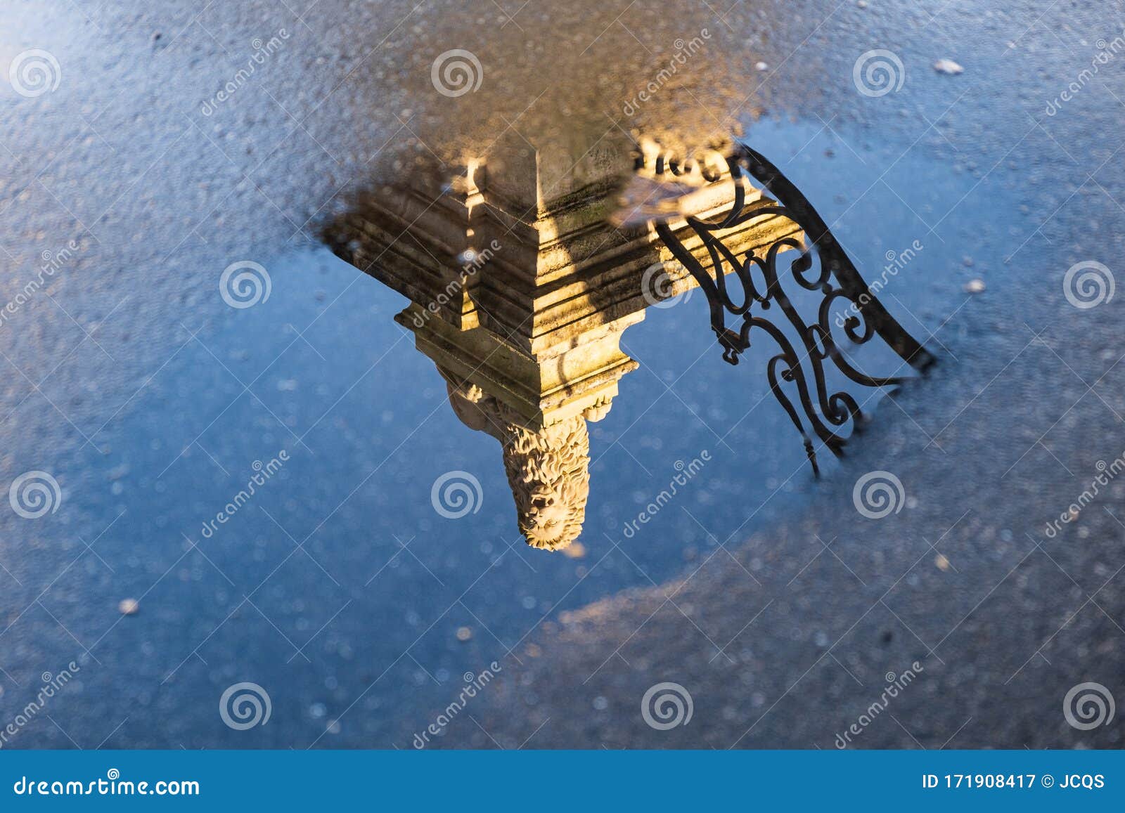 Lion`s Reflection in a Puddle. Stock Image - Image of bokeh, light ...