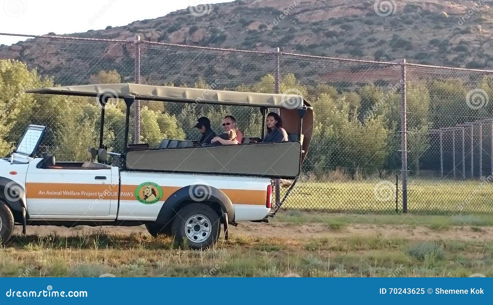 Lion s Rock editorial image. Image of driving, rock, lions - 70243625