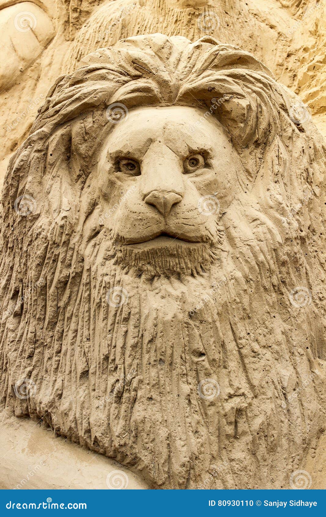 Lion- Sandart stock photo. Image of house, sand, objects - 80930110