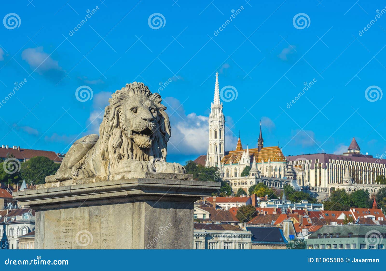 Lion Sculptures of the Chain Bridge with the View of Budapest Stock ...