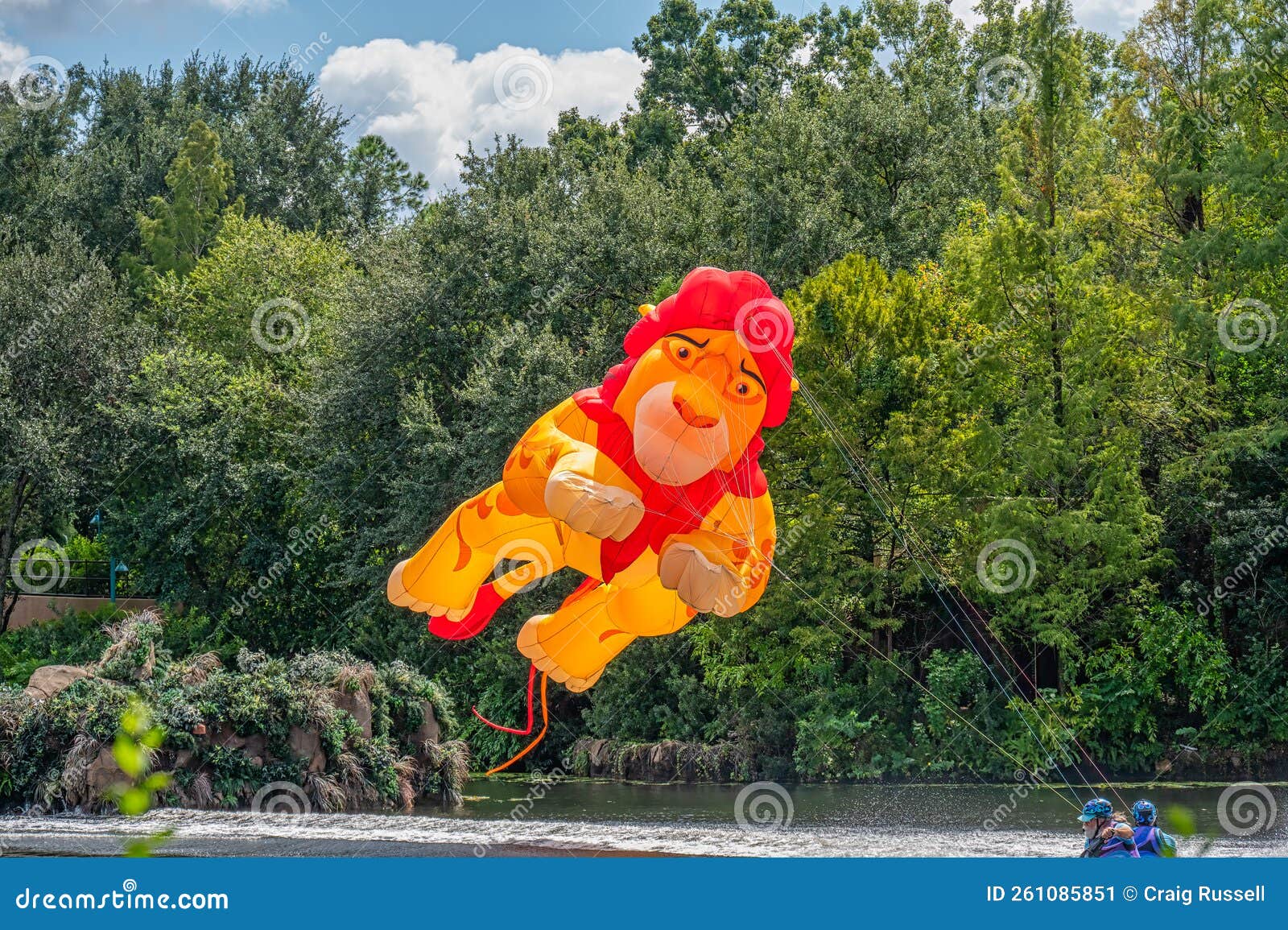 Lion And Flying Bird Royalty-Free Stock Image | CartoonDealer.com #31968970