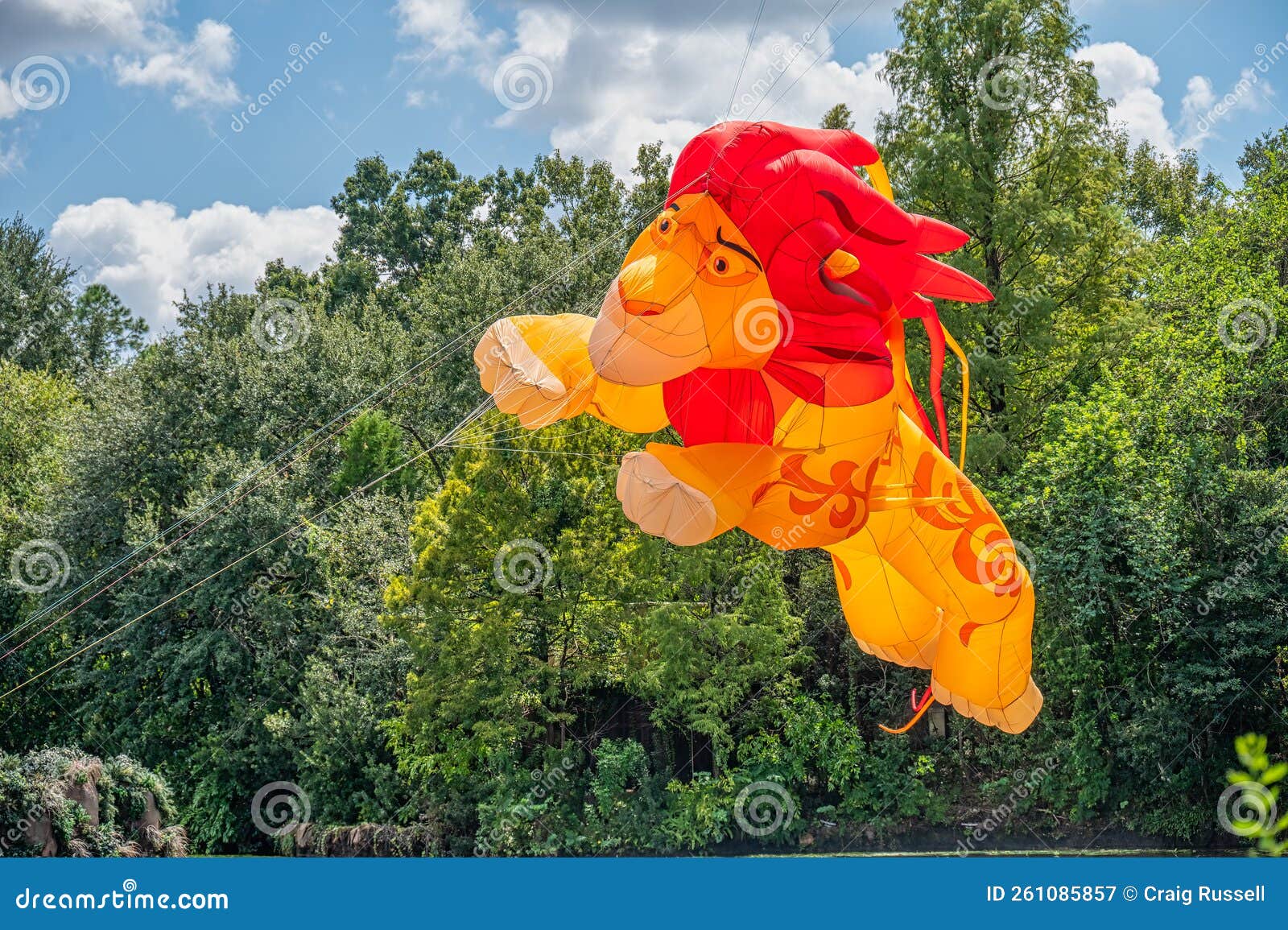 Lion Shaped Kite Flying through the Air Stock Image - Image of equality ...