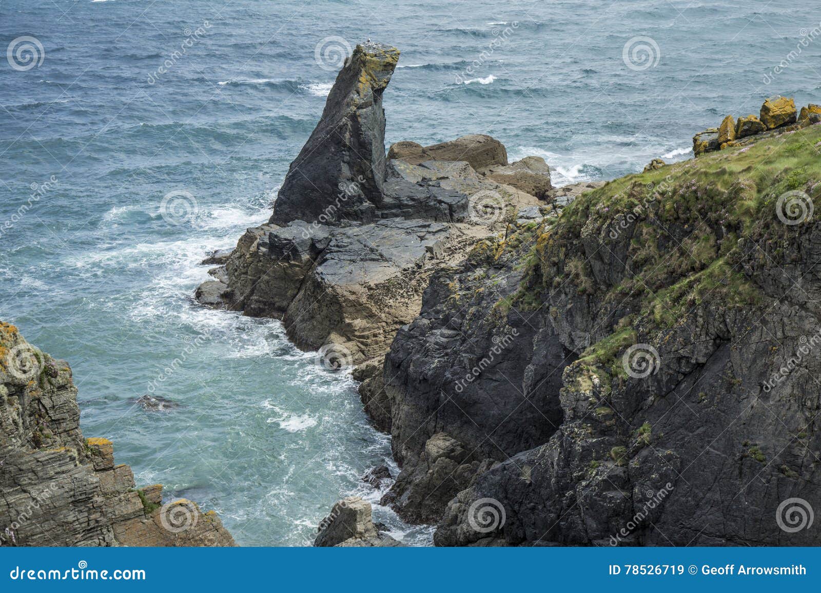 Lion Shaped Rock at the Lizard in Cornwall Stock Image - Image of clear ...