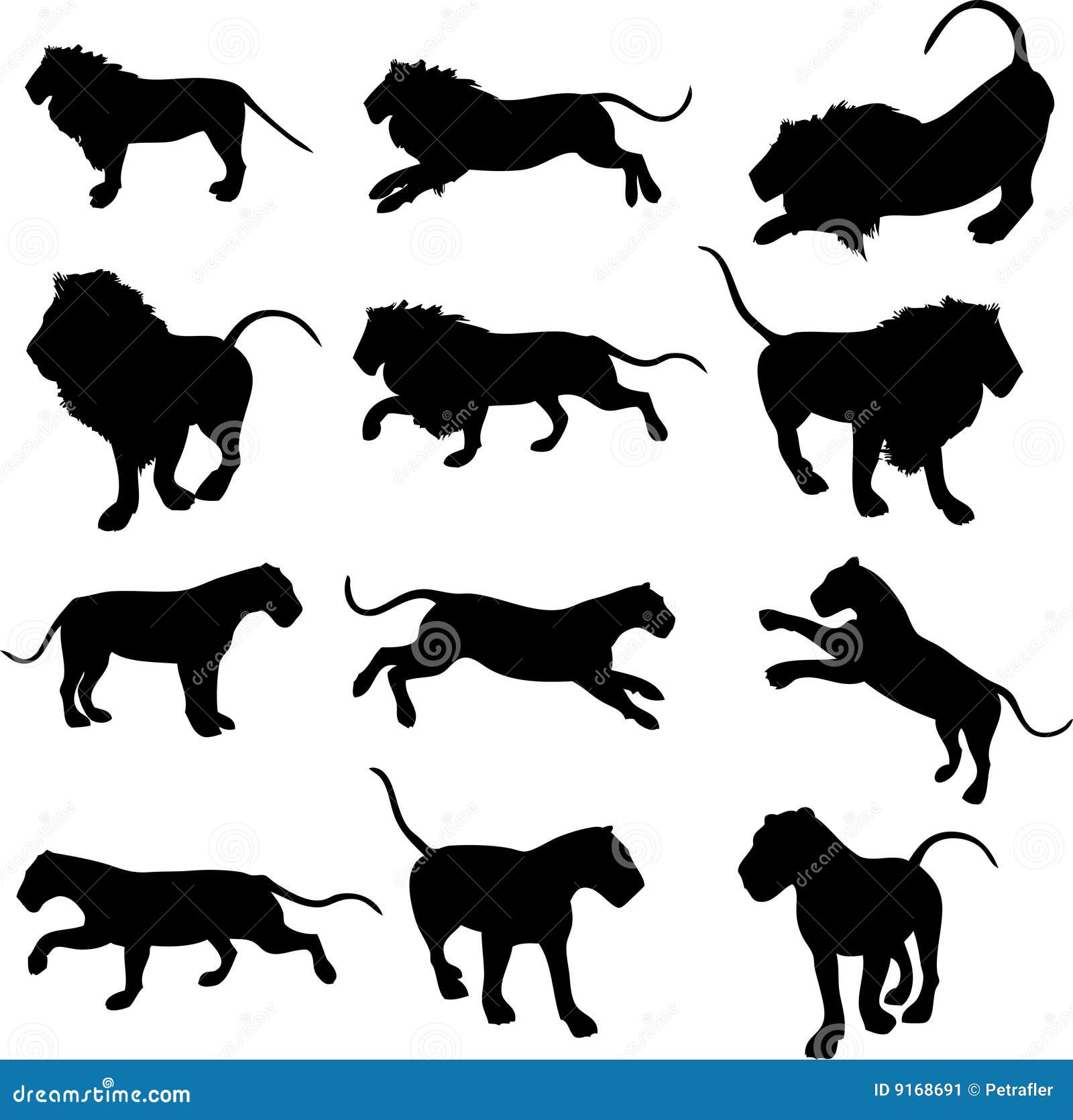 Lion Silhouettes stock vector. Illustration of roar, shadow - 9168691