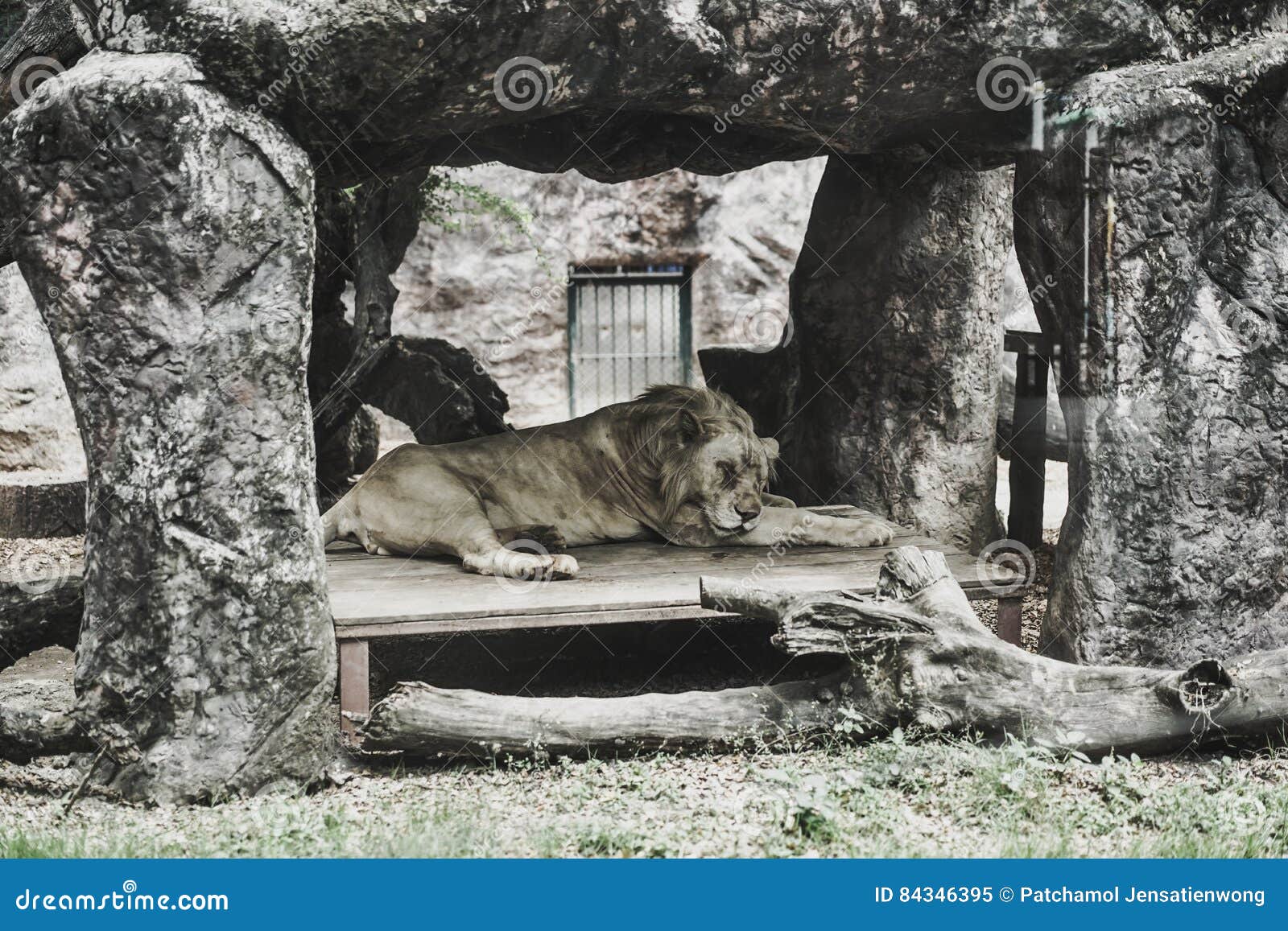 Dog Is Sleeping On Stone Texture Royalty-Free Stock Photo ...