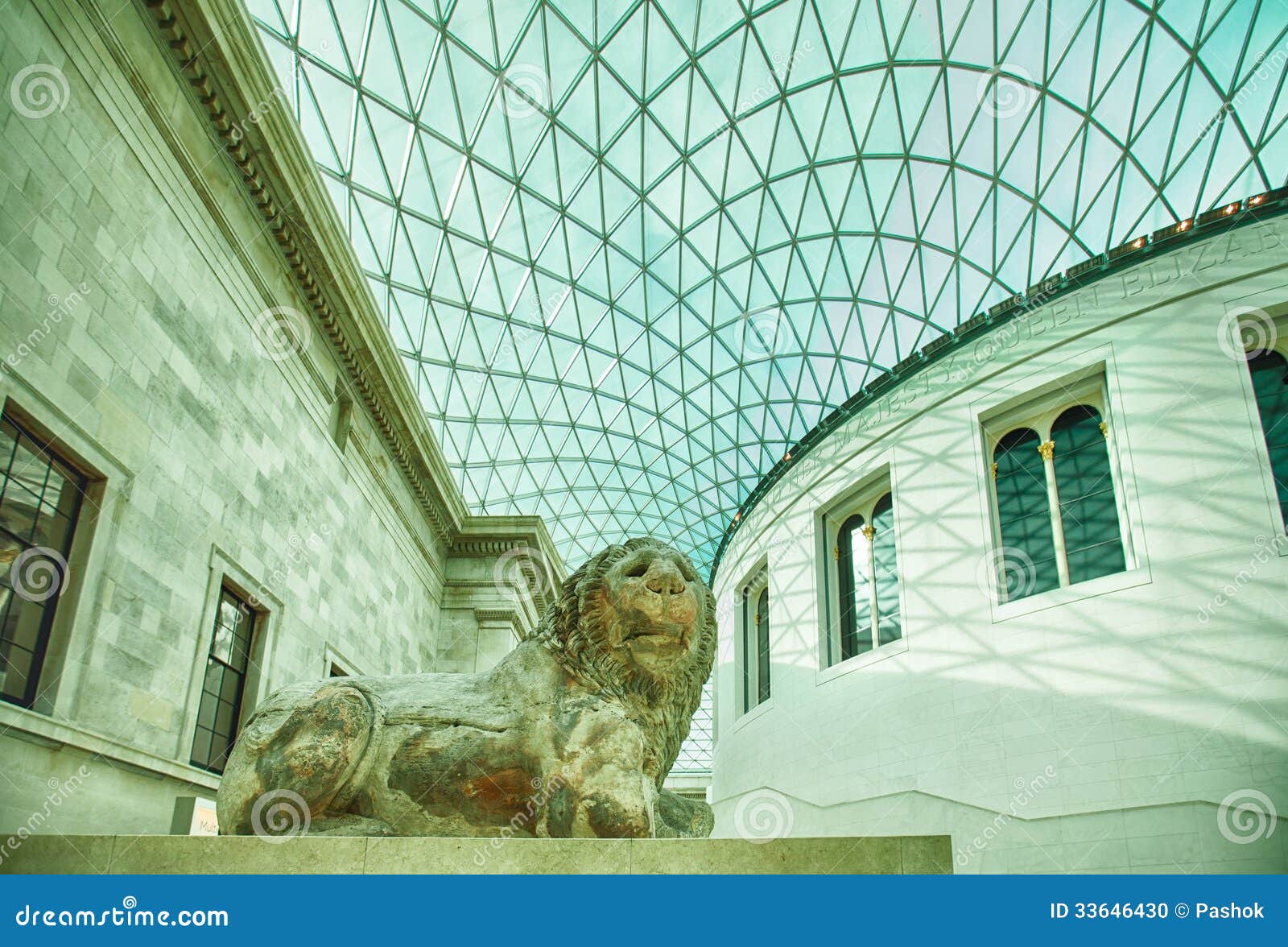 Lion editorial image. Image of destinations, learning - 33646430