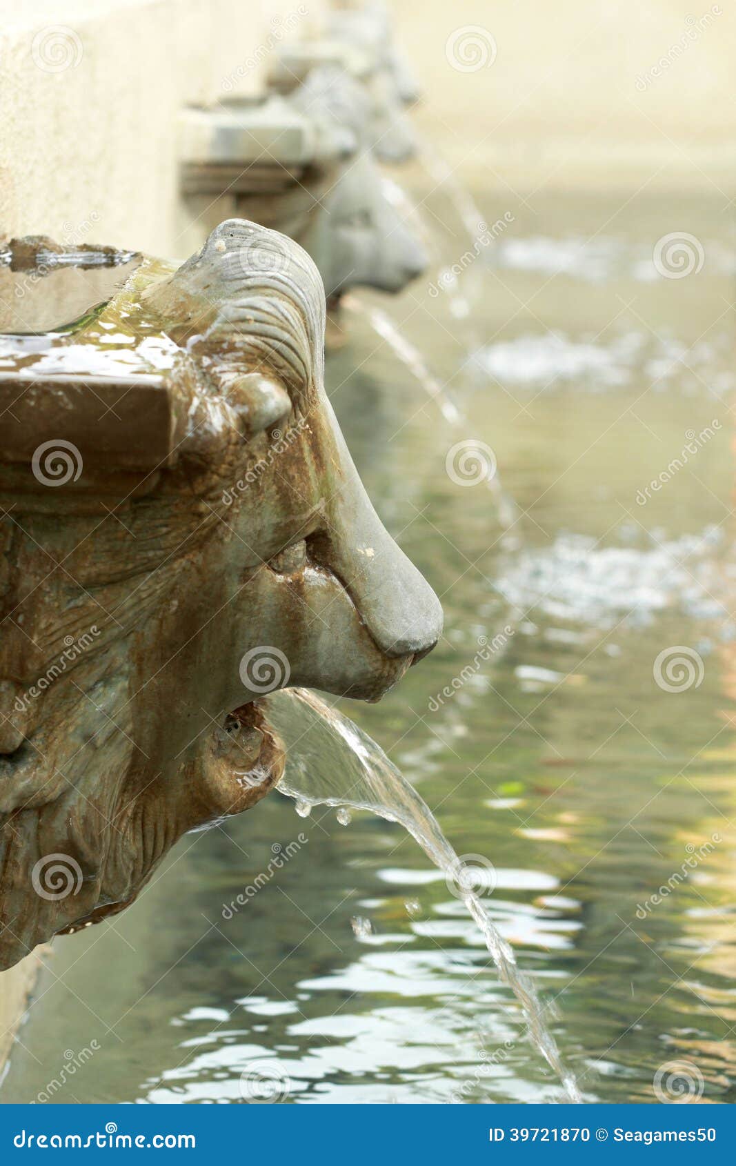Lion Statue Spitting Water - Vintage Style Stock Photo - Image of ...