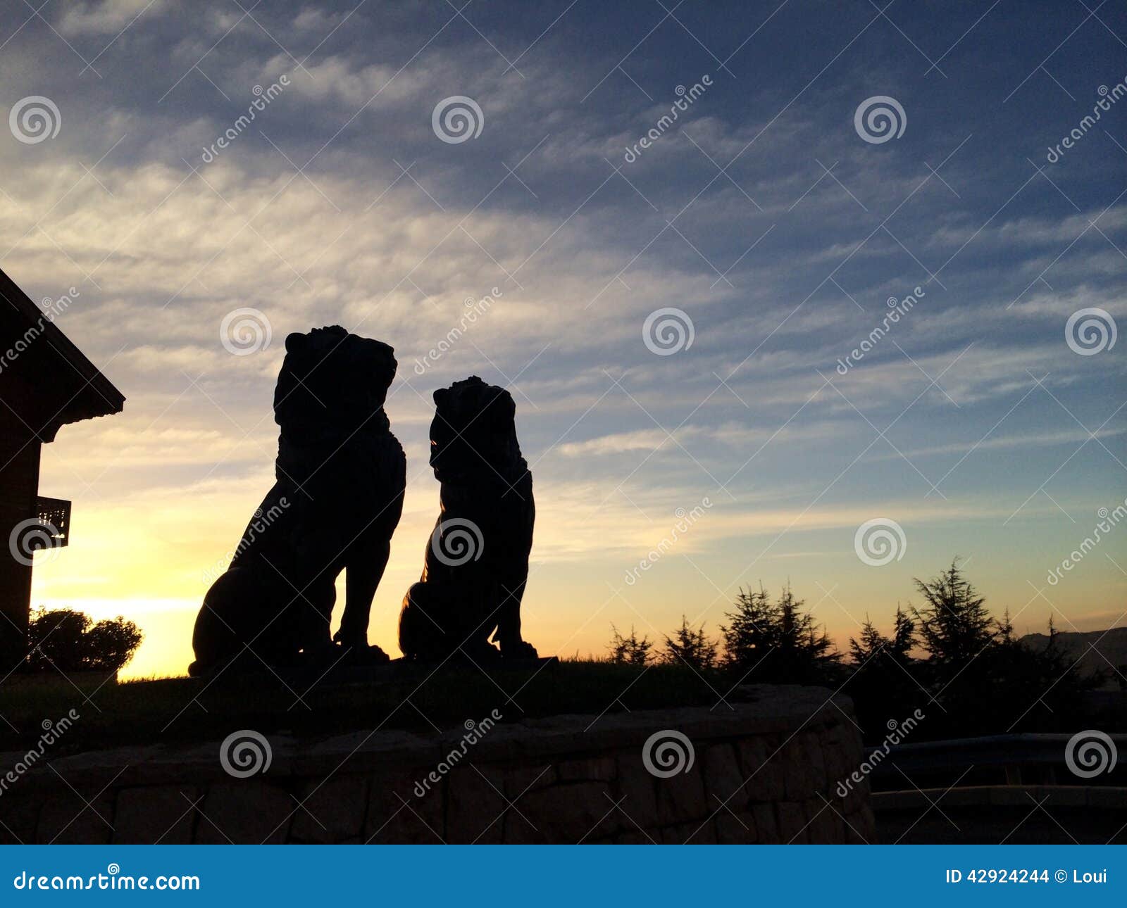 Lion status stock photo. Image of shadow, status, lion - 42924244