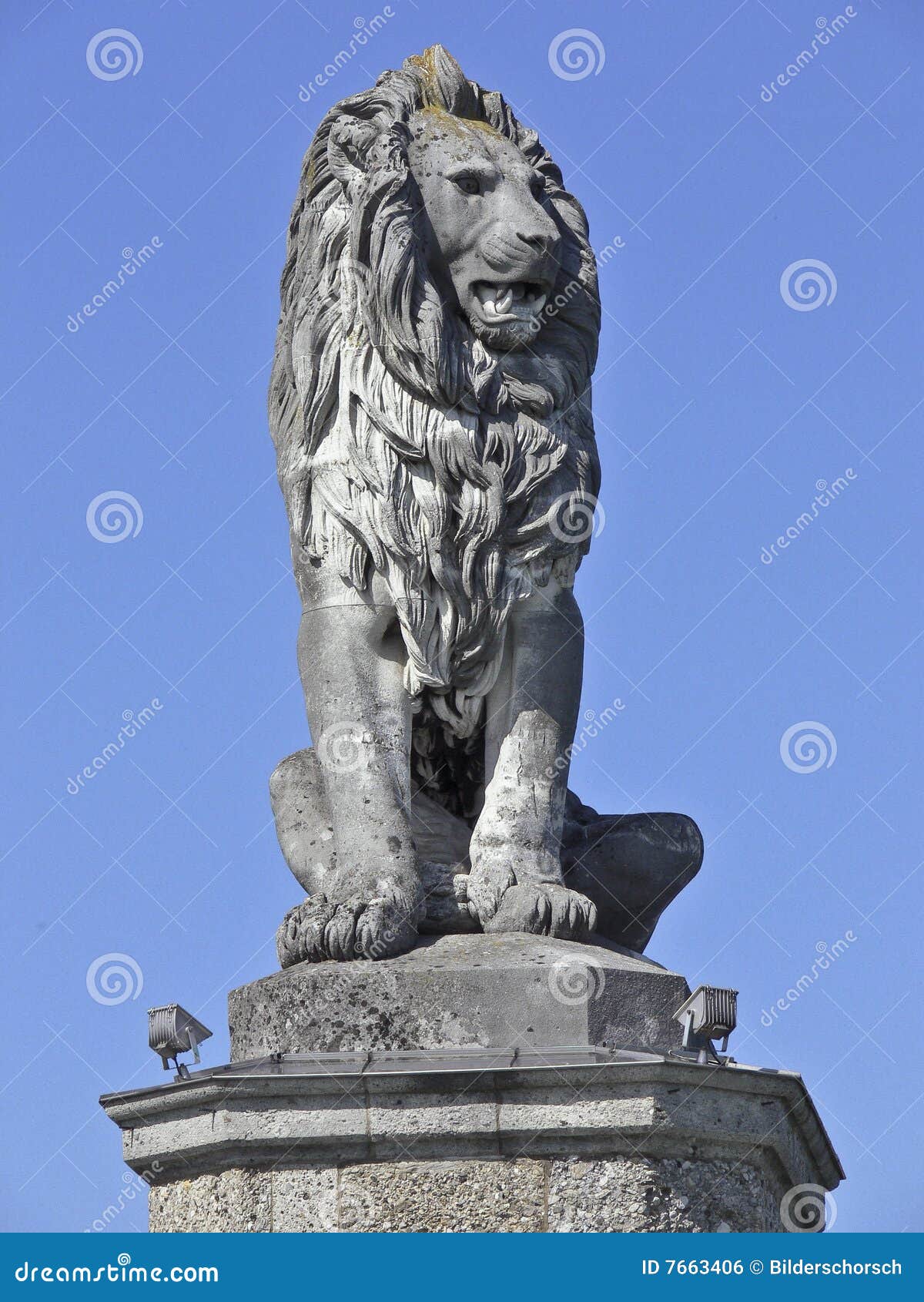 Lion stone 1 stock photo. Image of animal, outside, anima - 7663406
