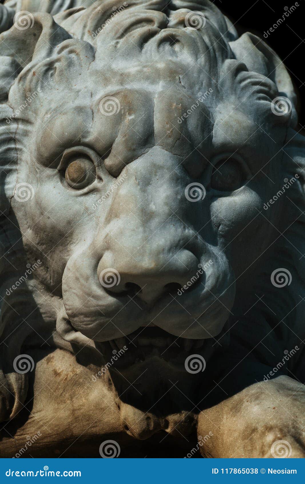 Lion stone statue stock photo. Image of isolated, majestic - 117865038