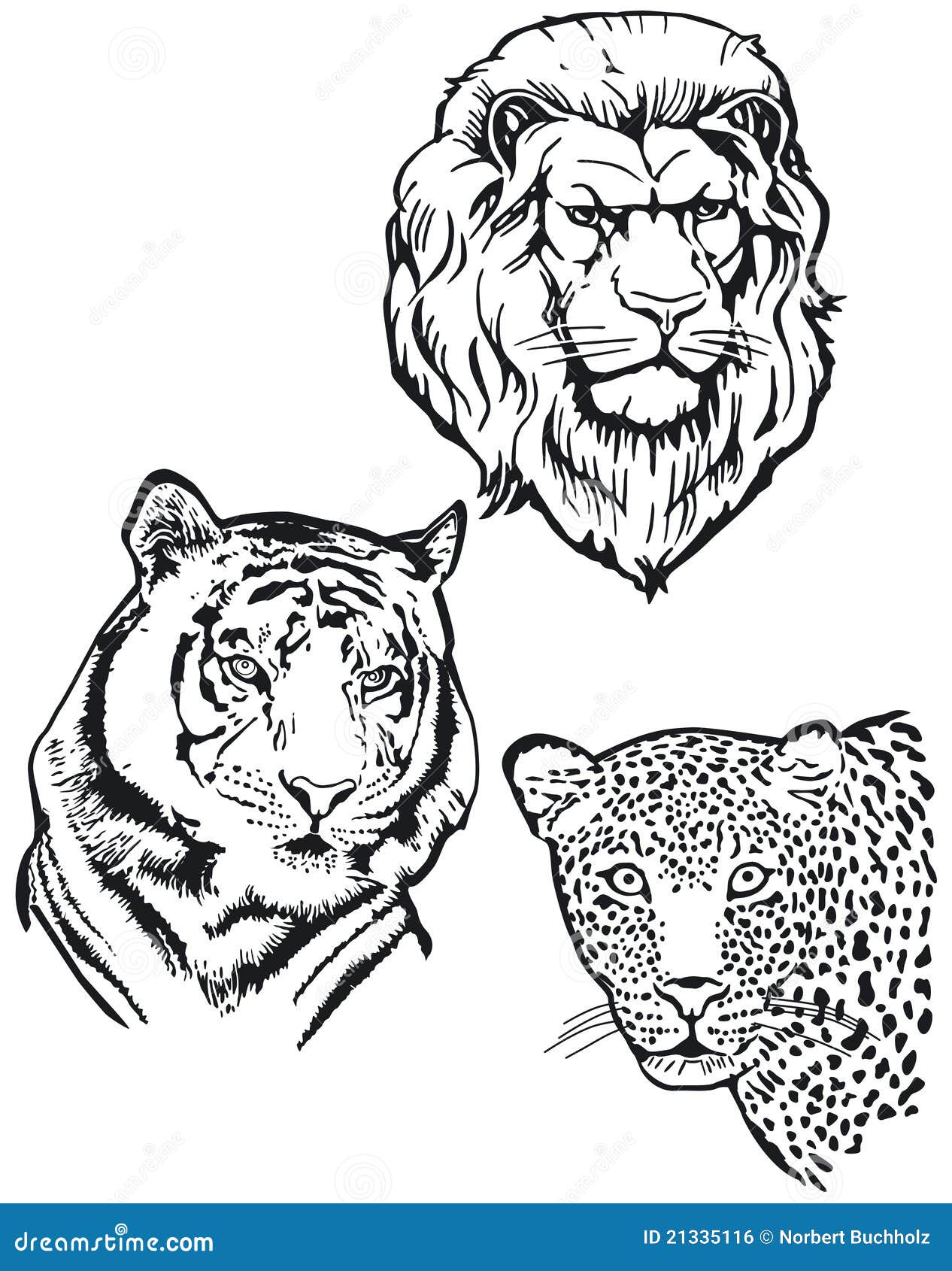 Lion And Tiger Vector Royalty-Free Cartoon | CartoonDealer.com #151451798