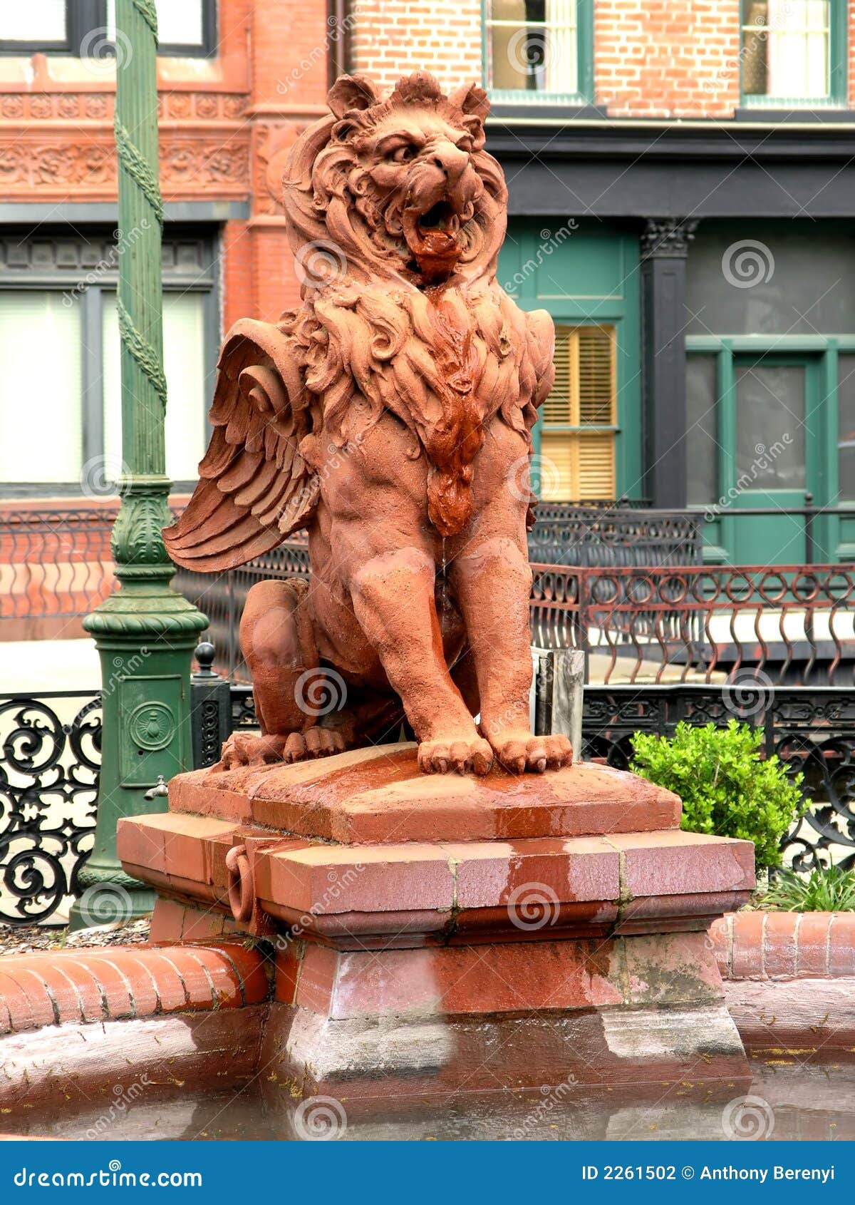 Lion - winged - growling stock photo. Image of roar, wings - 2261502