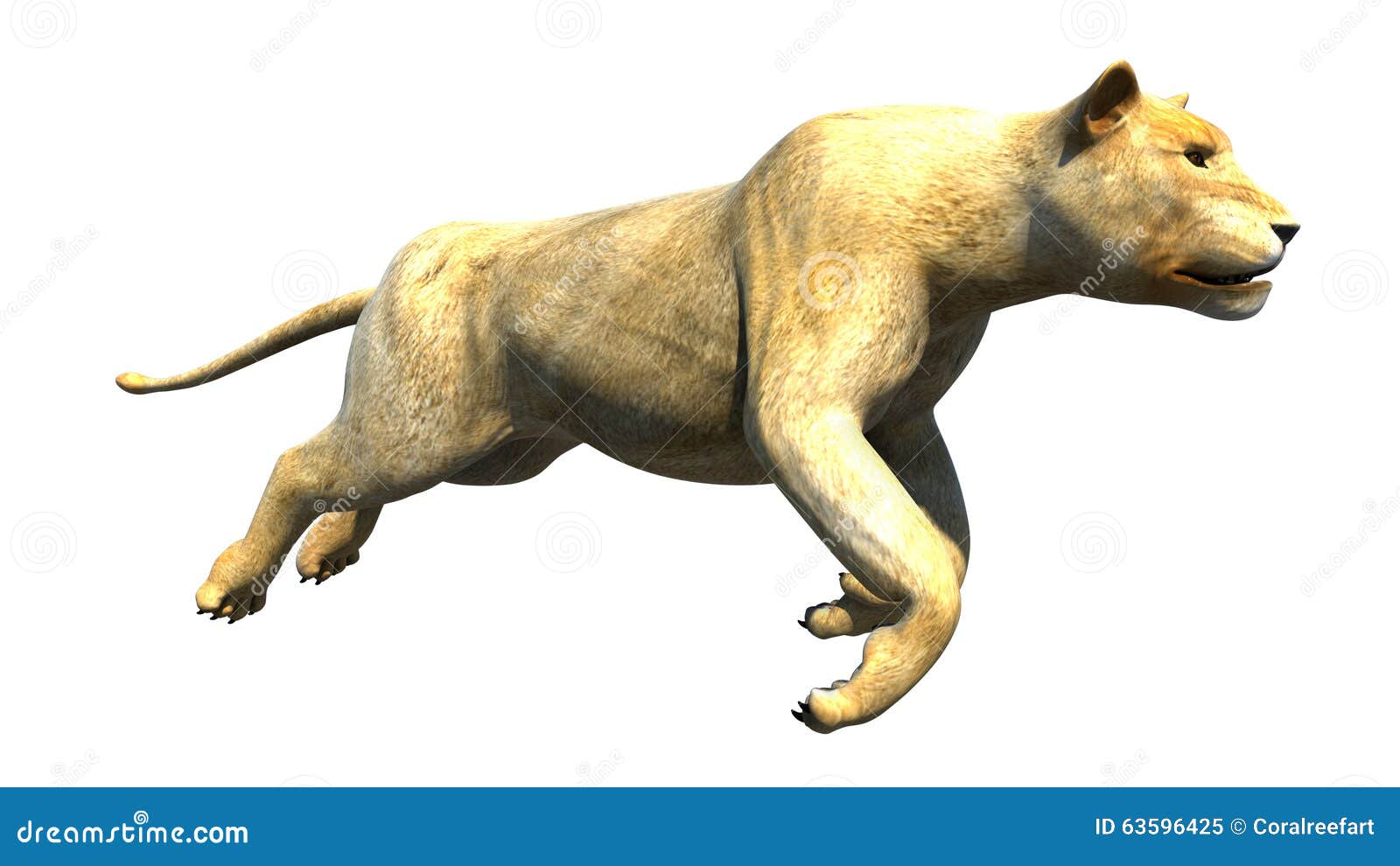Lioness Jumping while Running and Mid Air Pose Stock Illustration ...