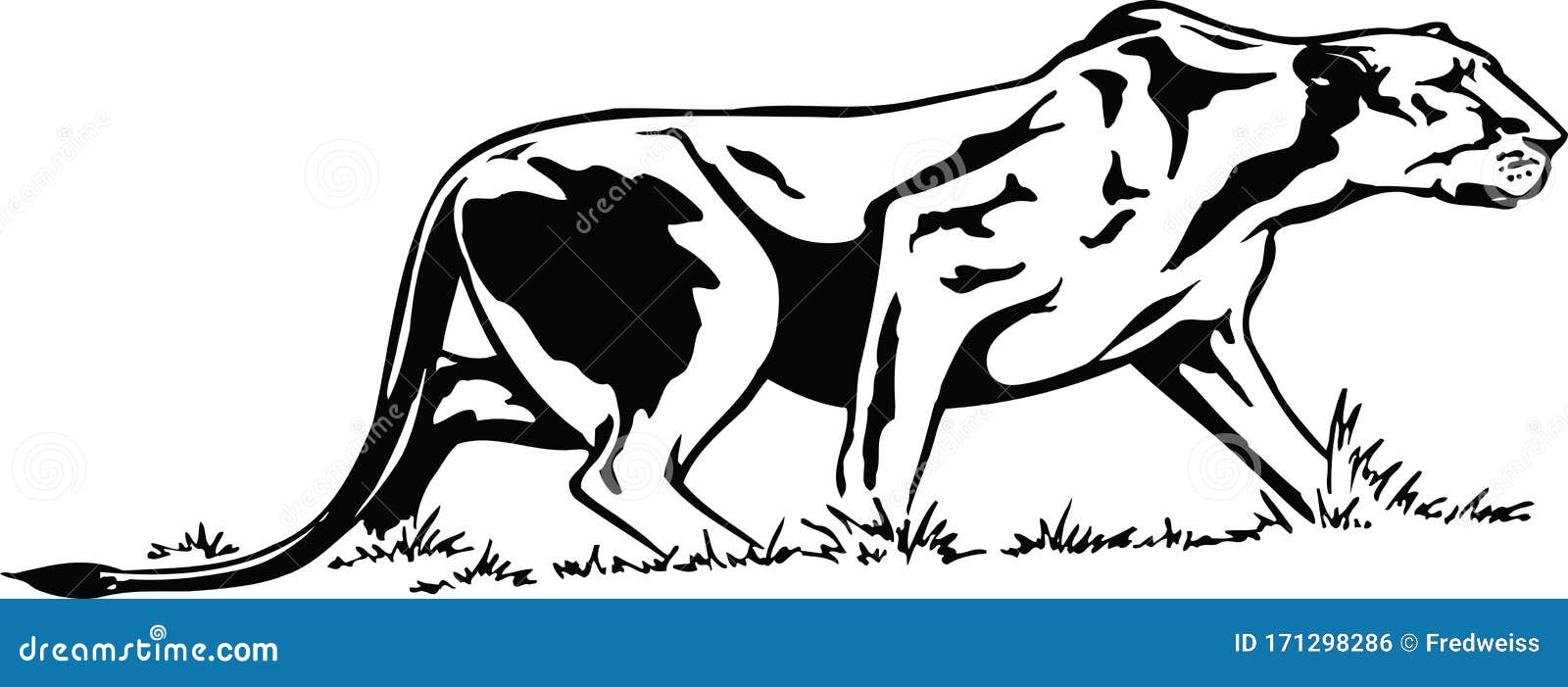 Stalking Vector Icon Isolated On Transparent Background, Linear ...