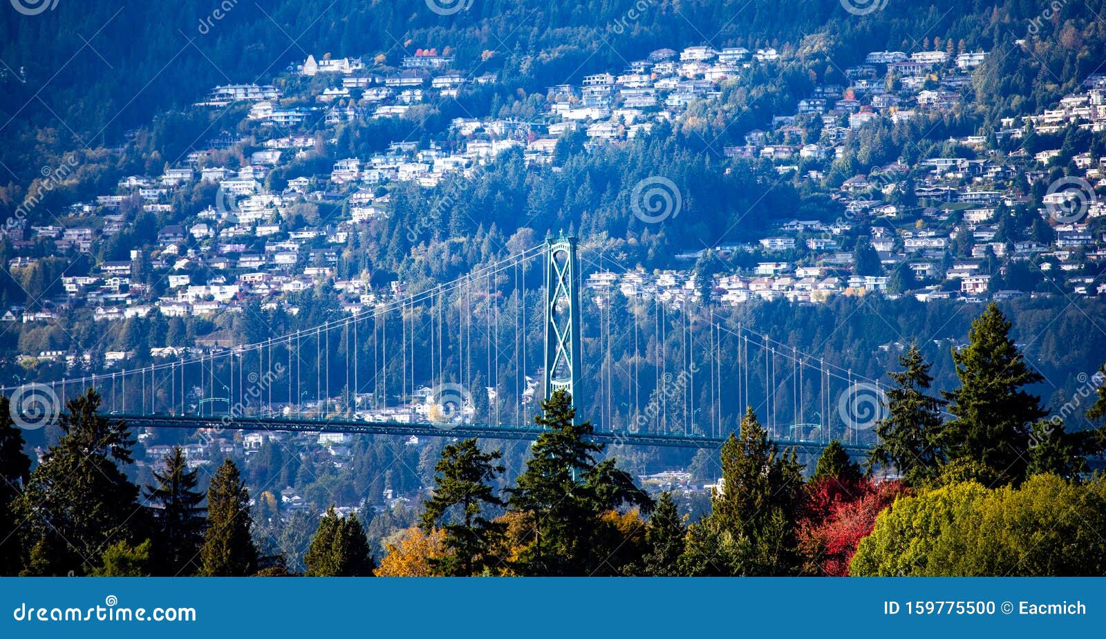 Lions Gate Bridge on a Nice Fall Evening Stock Photo - Image of blue ...