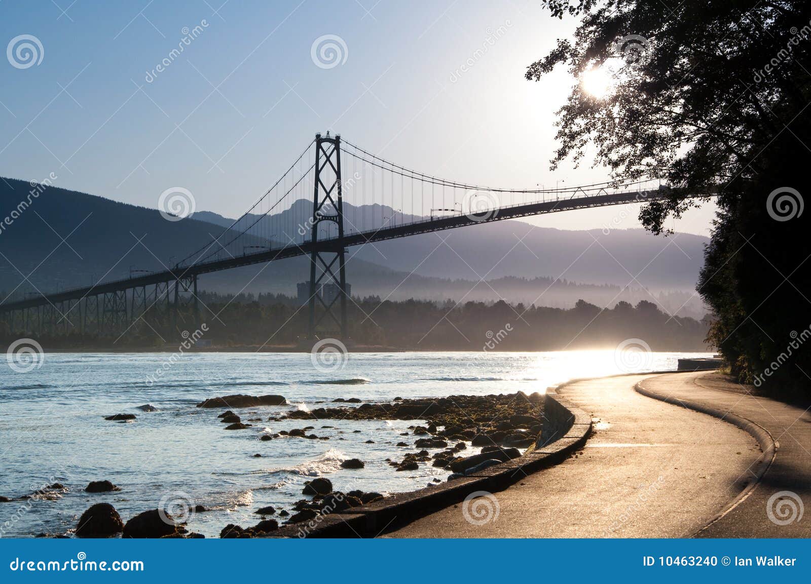 Lions Gate Bridge View From Prospect Point In Stanley Park, Vancouver ...