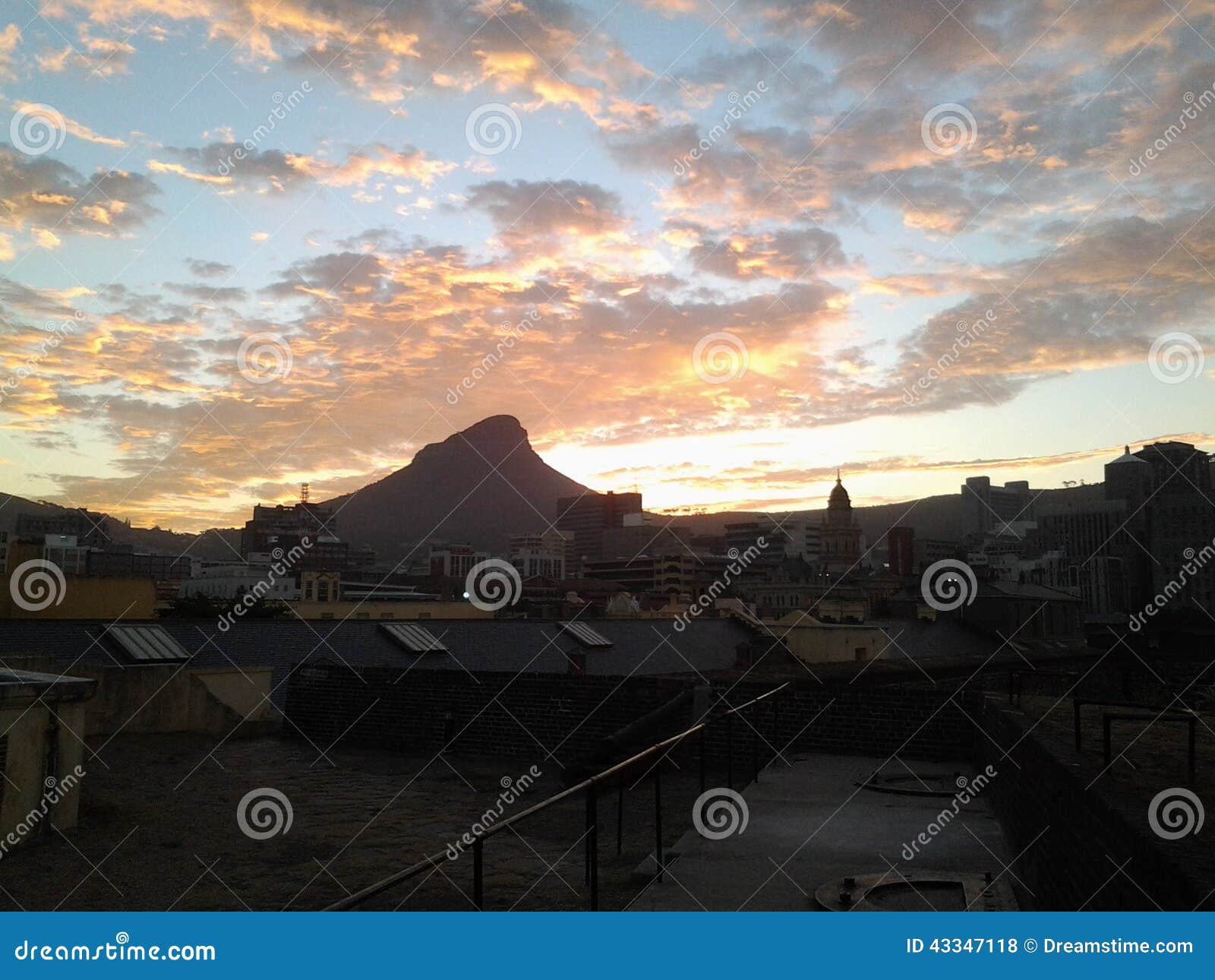 Lions head at sunset stock photo. Image of lions, view - 43347118