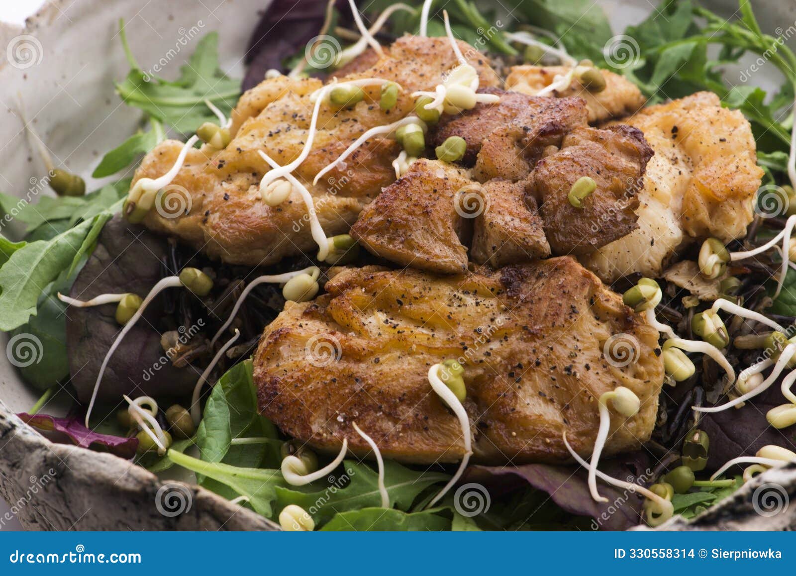 Lions Mane Fried with Salad Stock Photo - Image of lions, fresh: 330558314