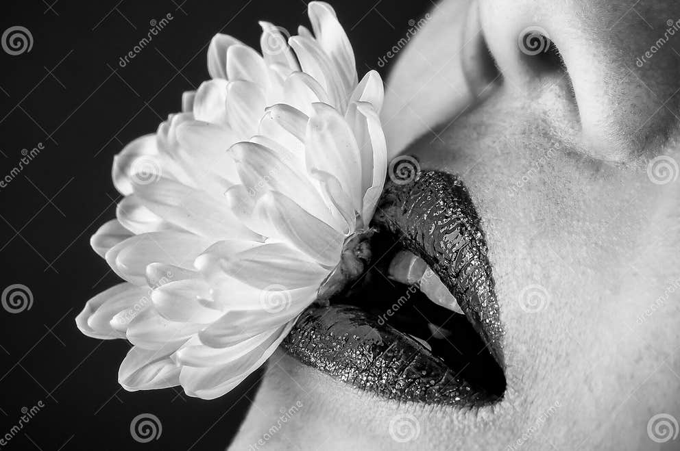 Lip with flower stock photo. Image of colorful, cosmetic - 28276384