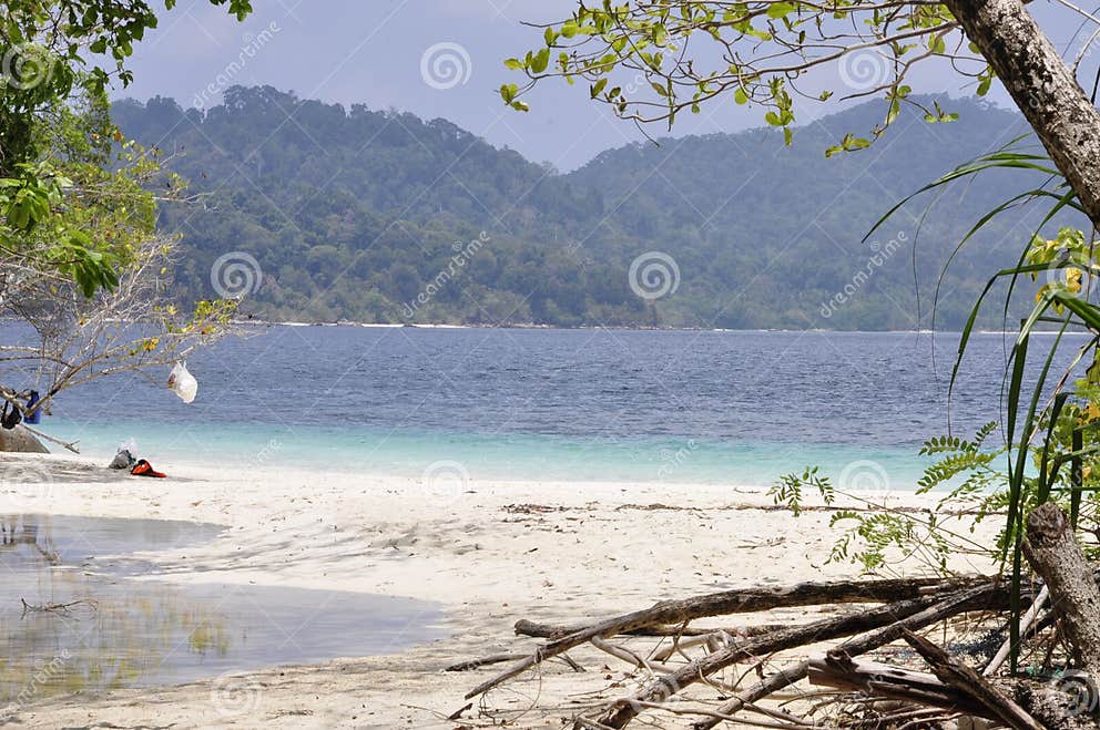 Lipe Island, Thailand stock image. Image of tree, snoggling - 39943393