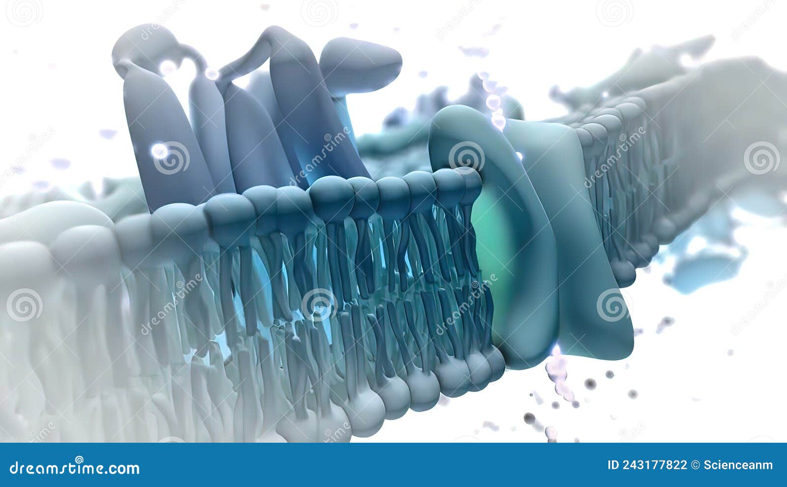 Lipid Medical 3d Medical Illustration Stock Illustration - Illustration ...