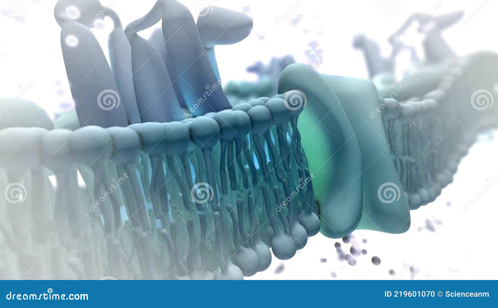 Lipid Medical ,medical Illustration Stock Illustration - Illustration ...