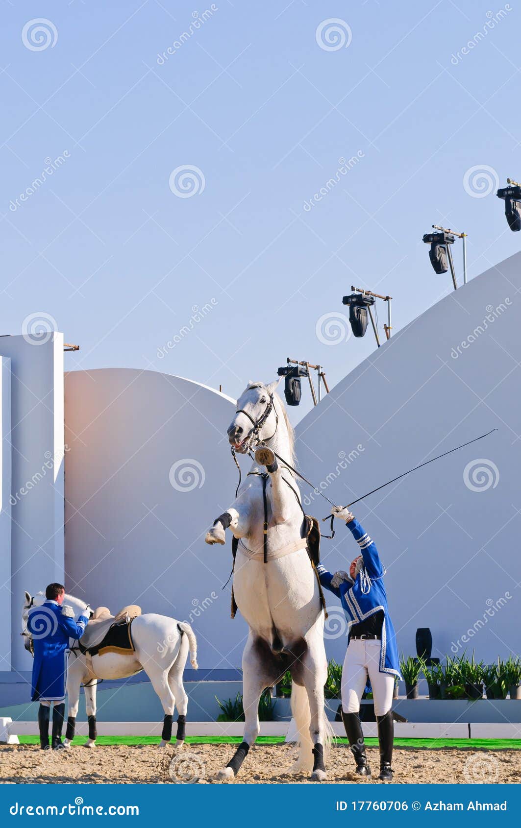 Lipizzan Stallions show editorial photo. Image of arab - 17760706