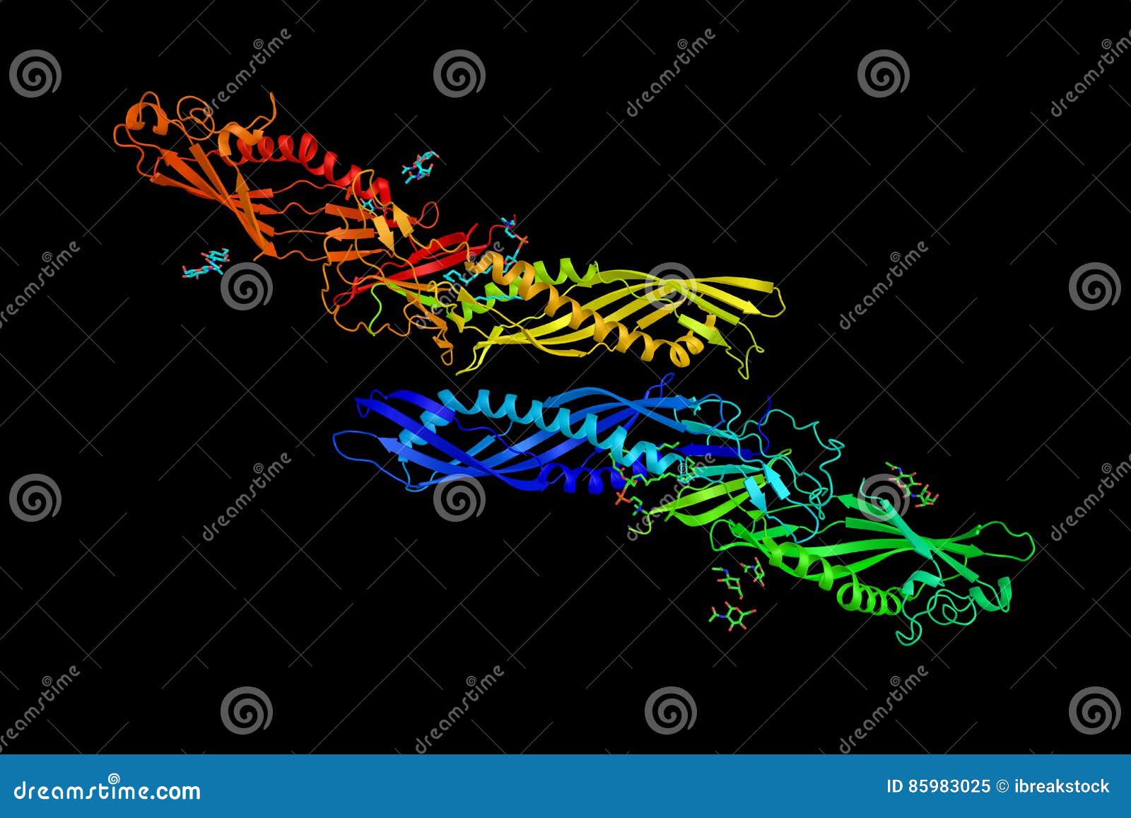 Lipopolysaccharide Binding Protein, a Protein that Binds To Bacterial ...