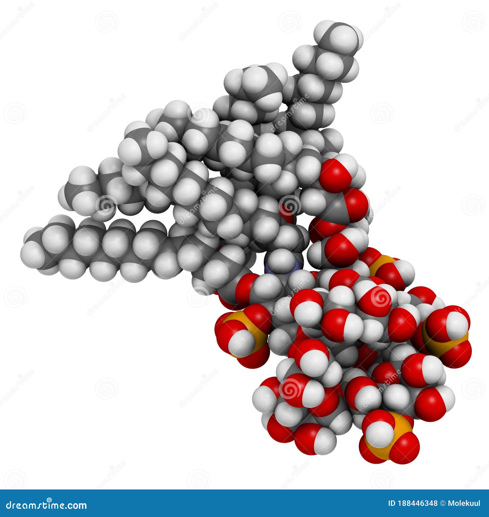 Lipopolysaccharide LPS, Lipid A And Inner Core Fragment Endotoxin ...