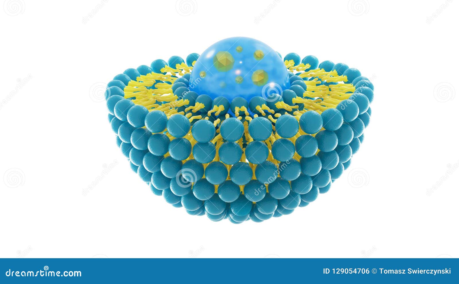 Liposome Structuurcel Het 3D Teruggeven Stock Illustratie ...