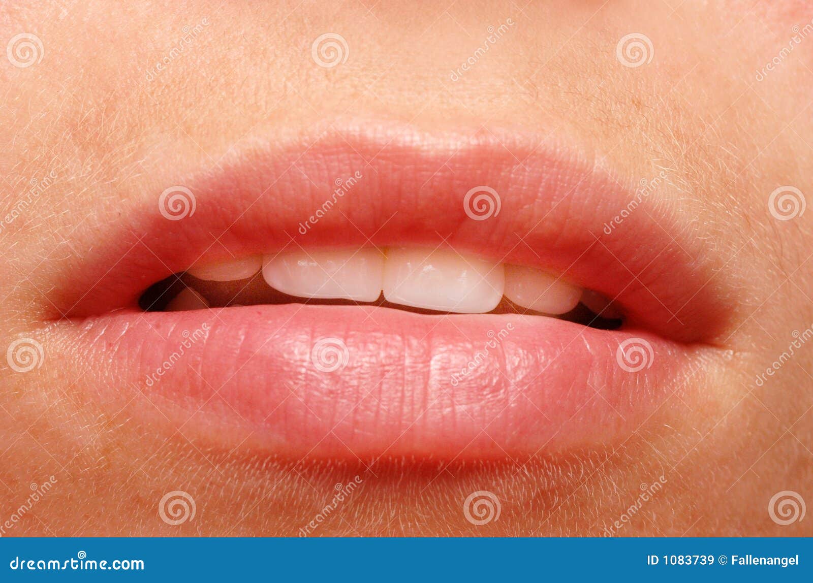 Lips stock image. Image of feature, lips, human, moist - 1083739