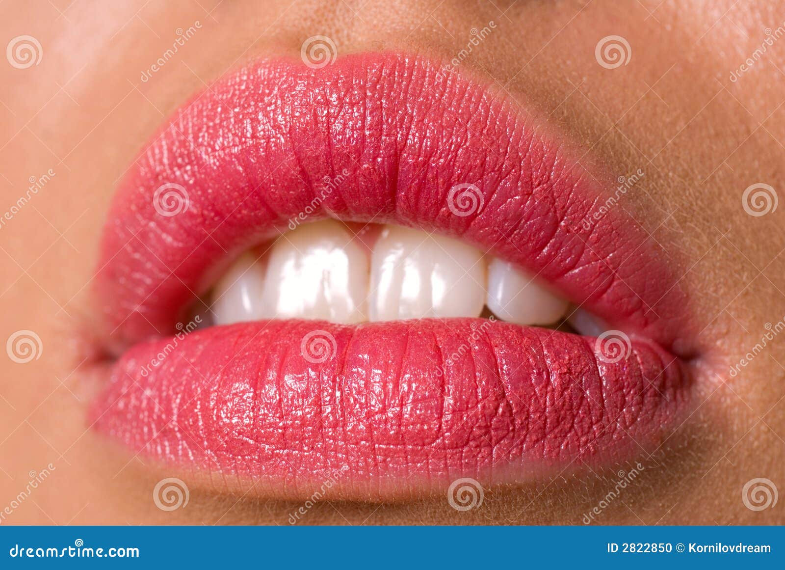Lips stock photo. Image of macro, communication, human - 2822850