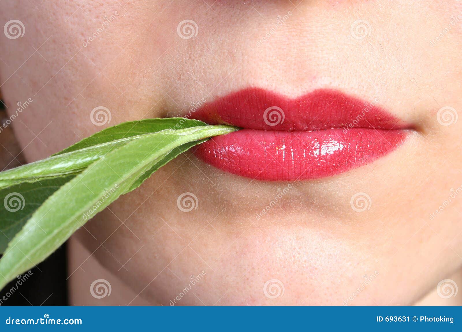 Lips stock image. Image of mouth, women, tooth, smile, leaf - 693631